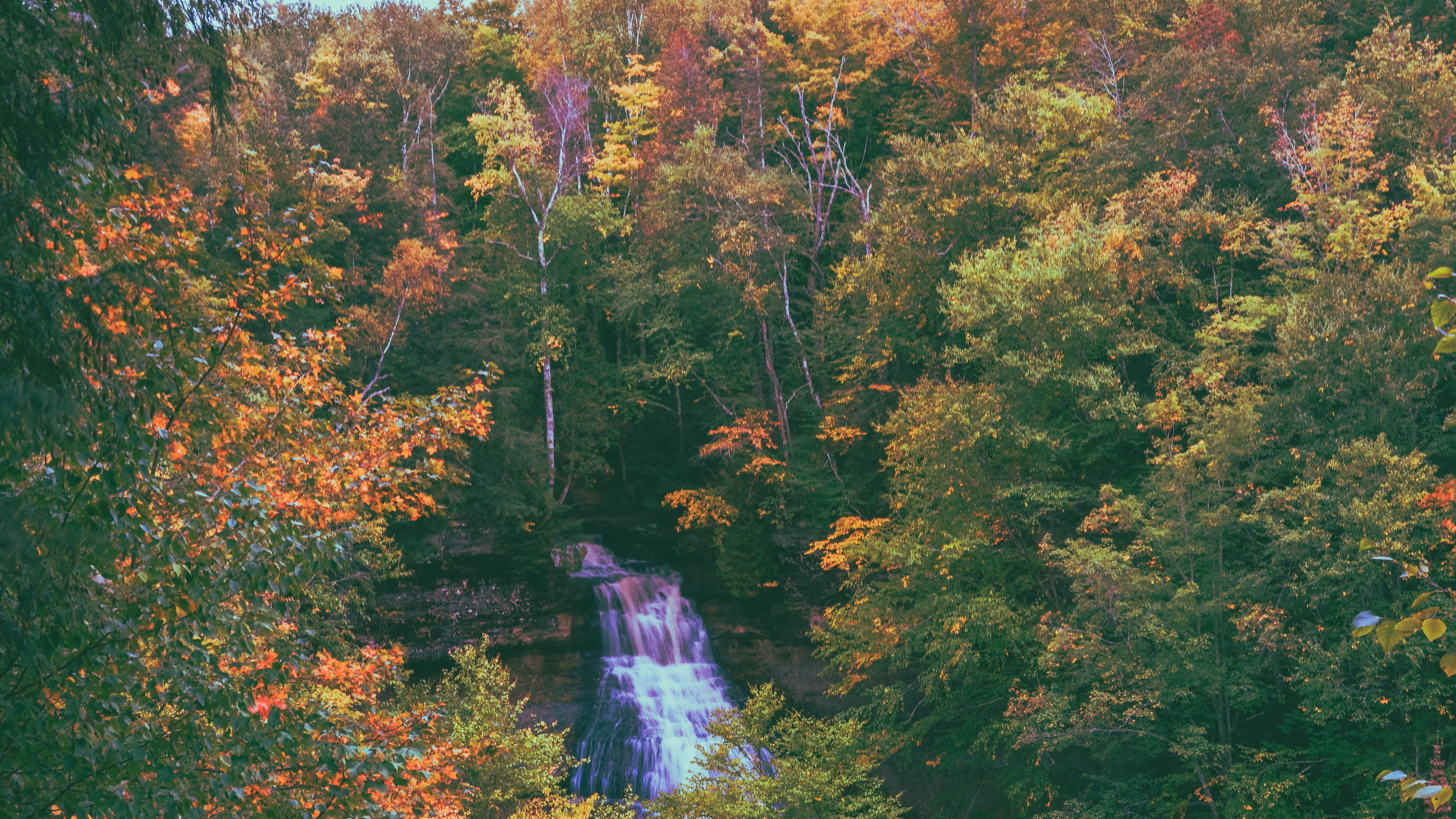 Green and brown trees near waterfalls during daytime photo – Free ...