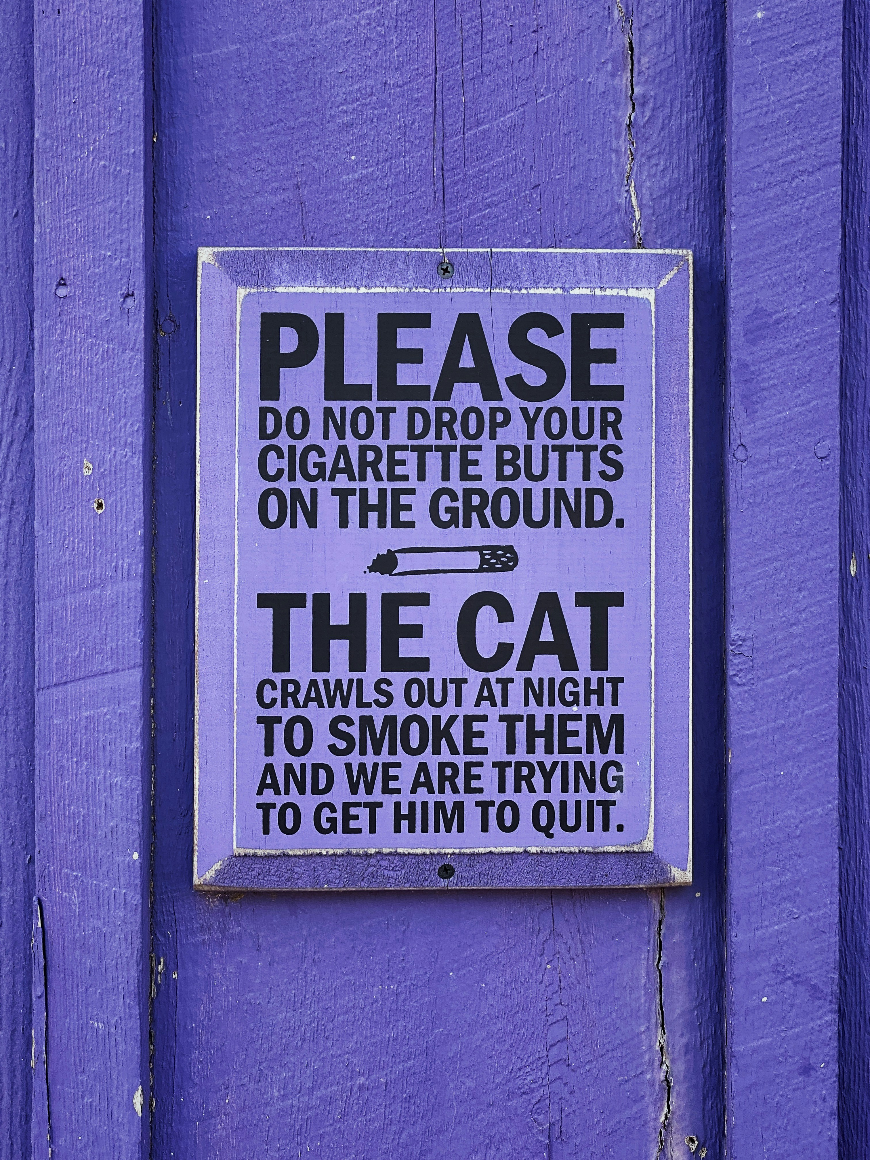 Photo by Jon Tyson with Apple iPhone 11 Pro Max