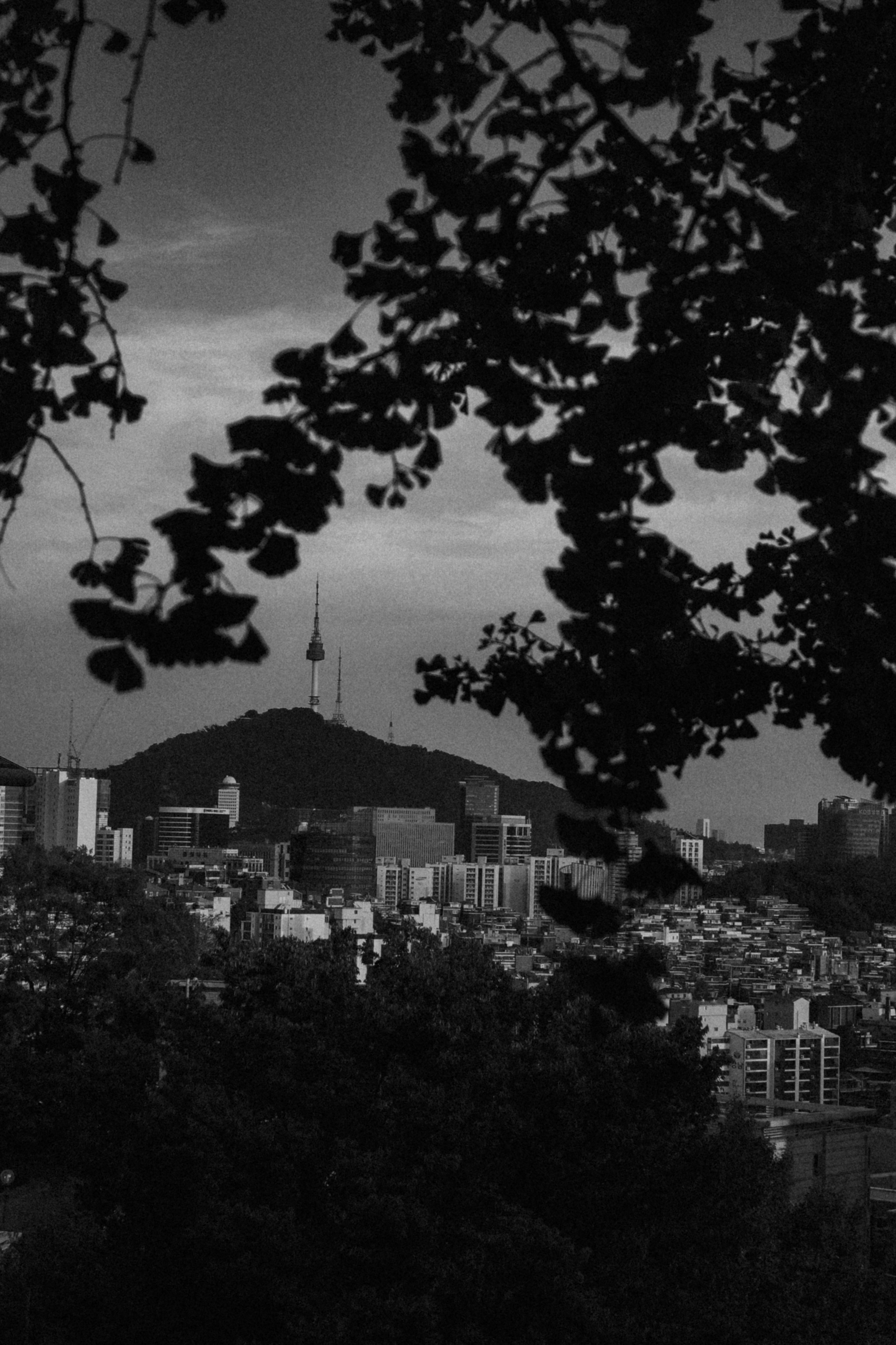 grayscale photo of city buildings