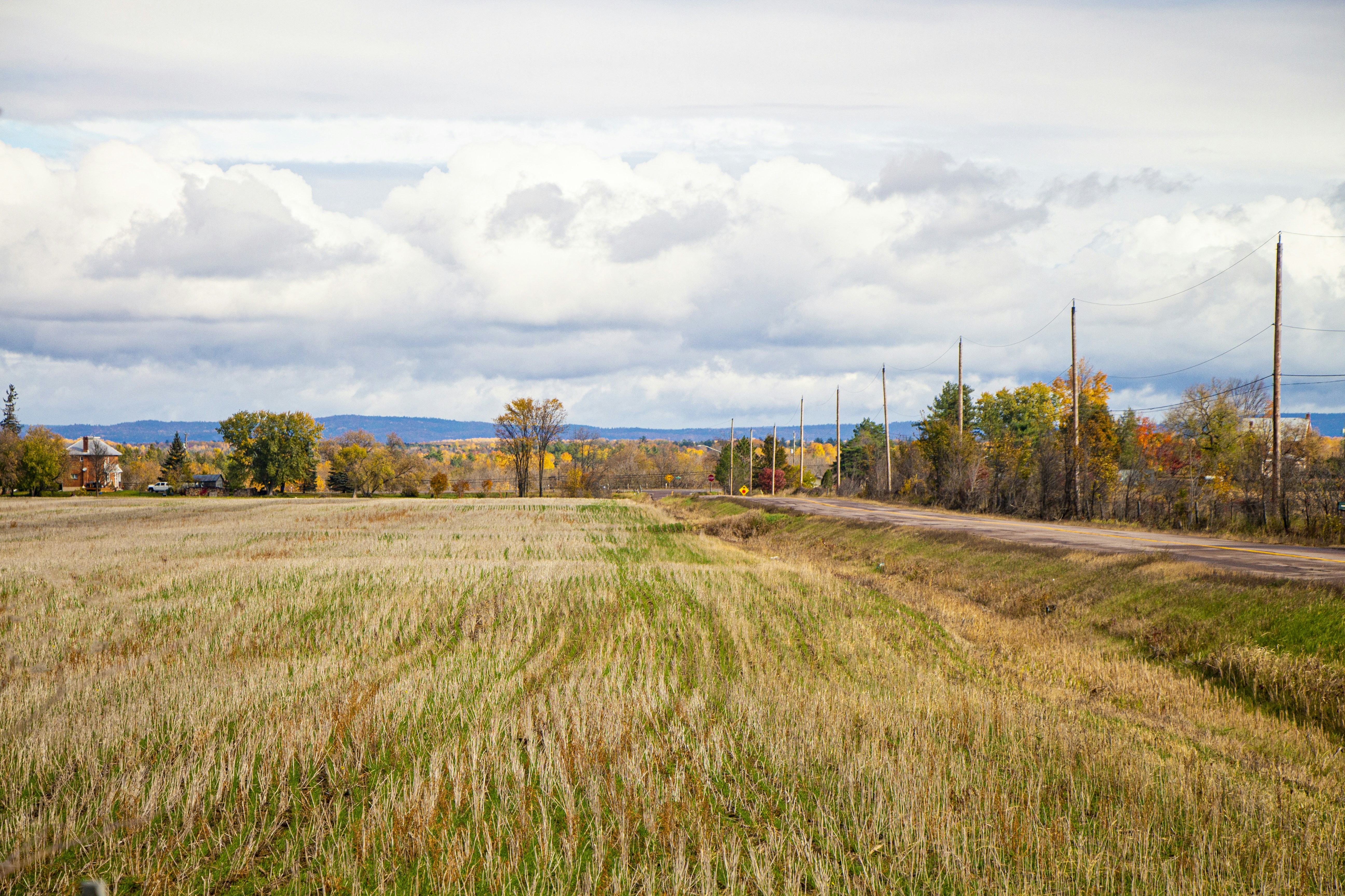 Expansive grass field bordered by a rural road and distant trees under a sky filled with soft clouds.
