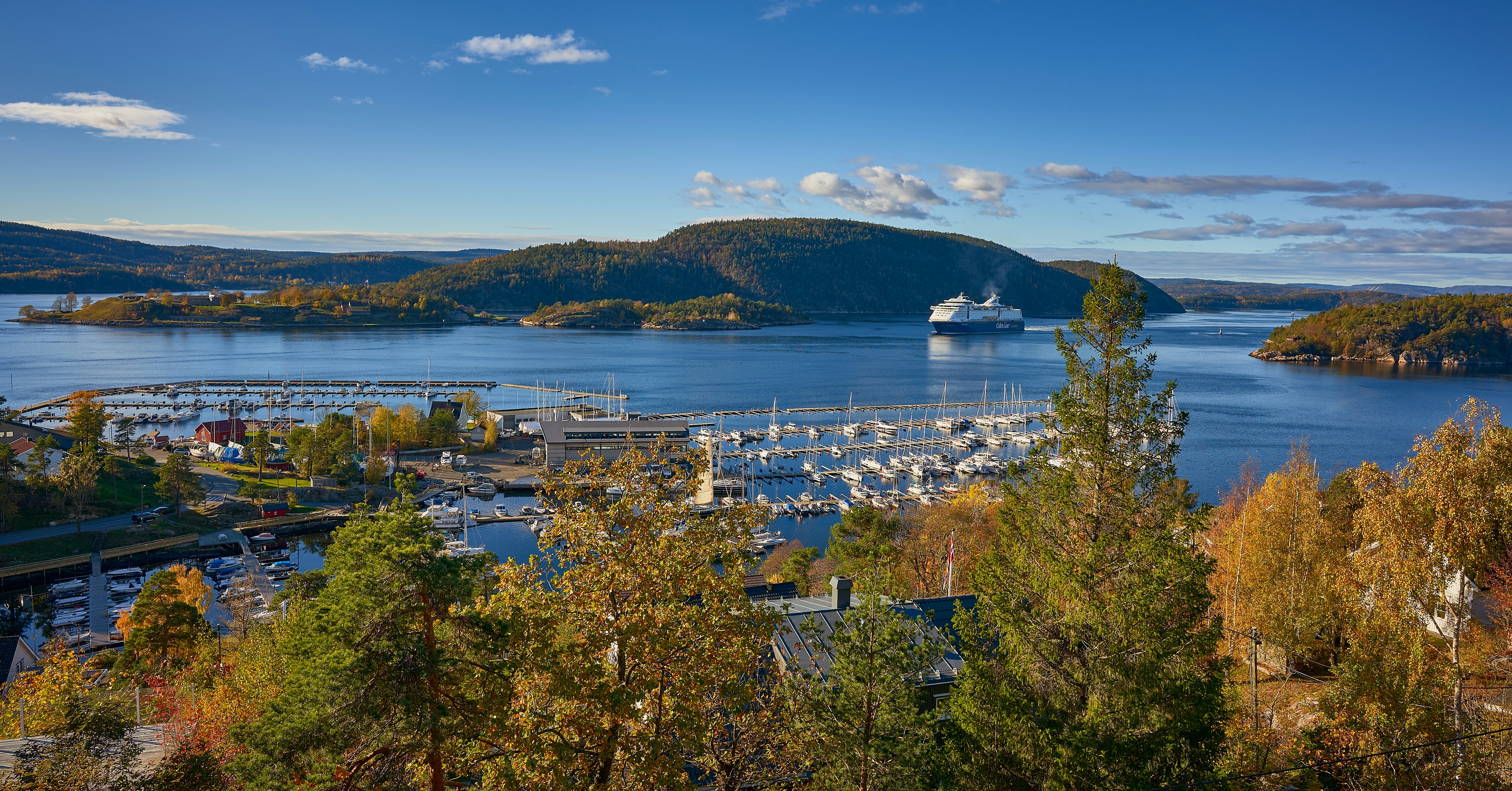 Autumn Light Over a Fjord Marina: A White Cruise Ship in the Distance