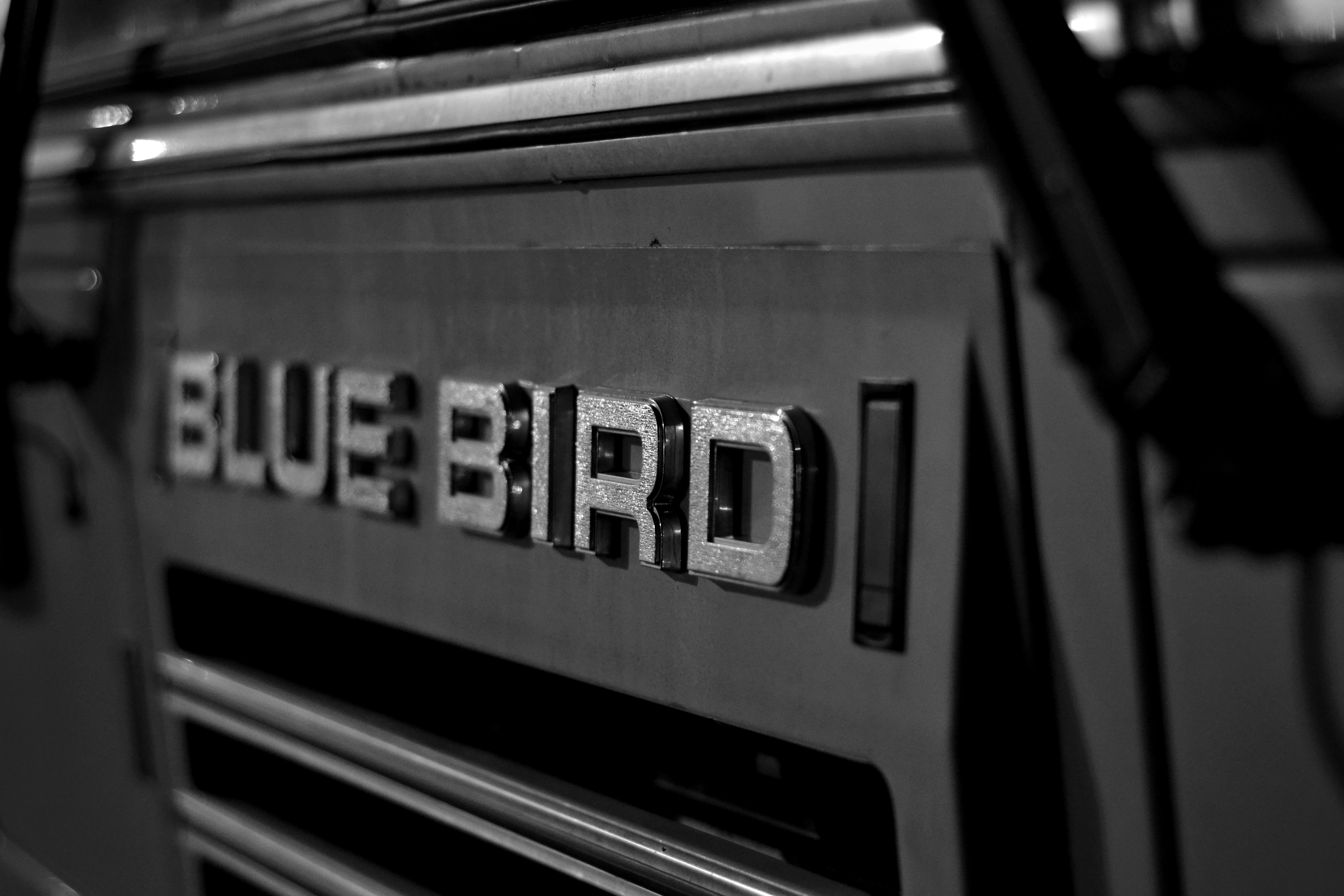 Close-up of a 'BLUE BIRD' emblem on a vehicle, showcasing its metallic texture and industrial design.