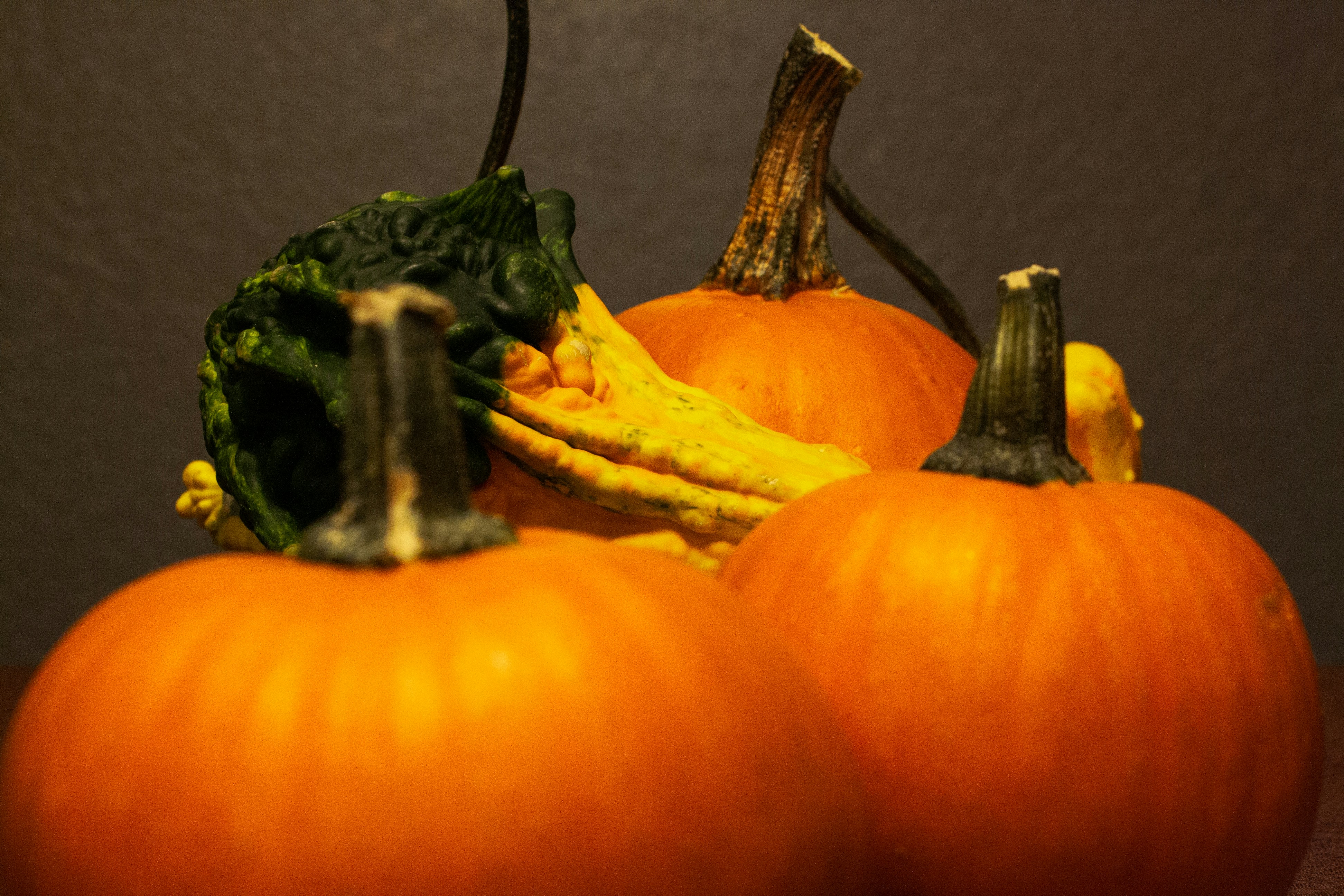 A cluster of vibrant orange pumpkins and a unique green squash, showcasing the rich colors and textures of fall harvest.