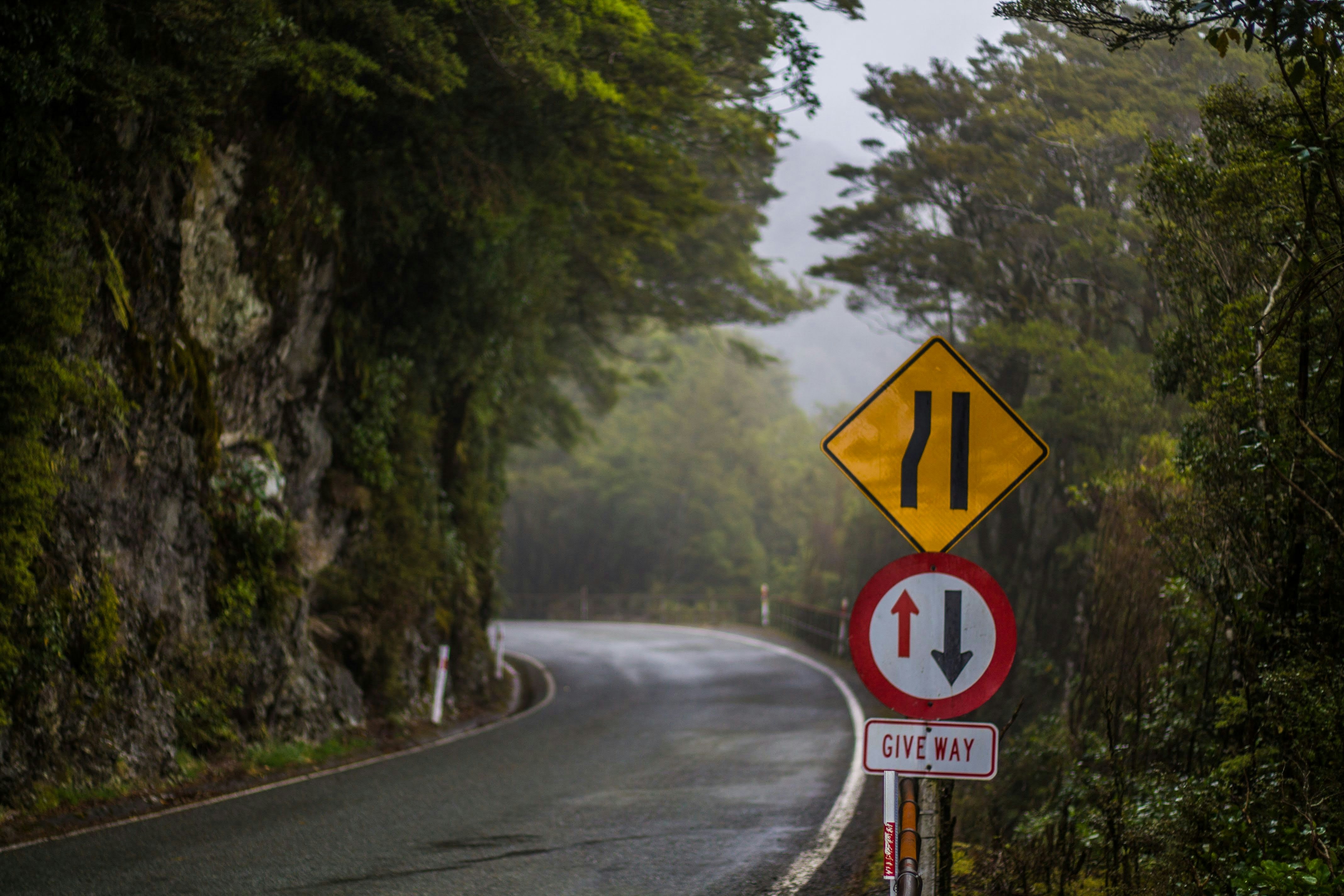 Curving road with warning signs surrounded by lush greenery and fog. The scene evokes a sense of adventure and caution.