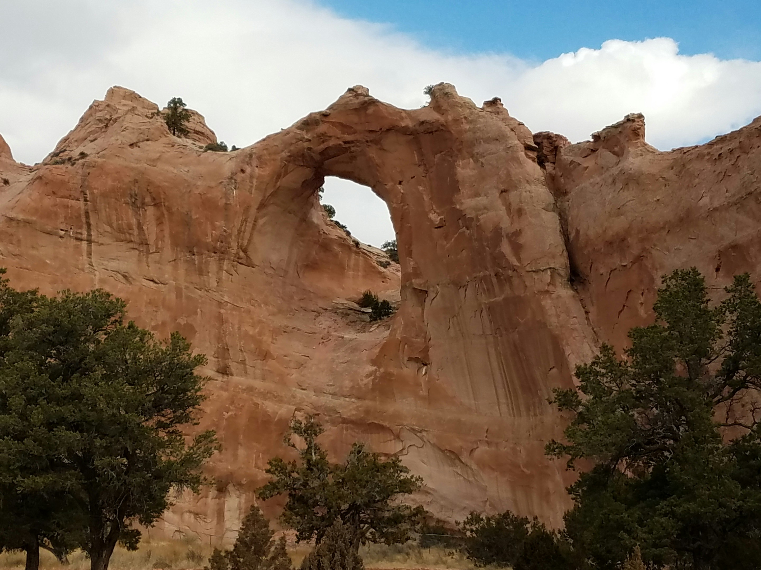 Stone Window in Red Canyon: A Weathered Arch Framed by Pines and Sky