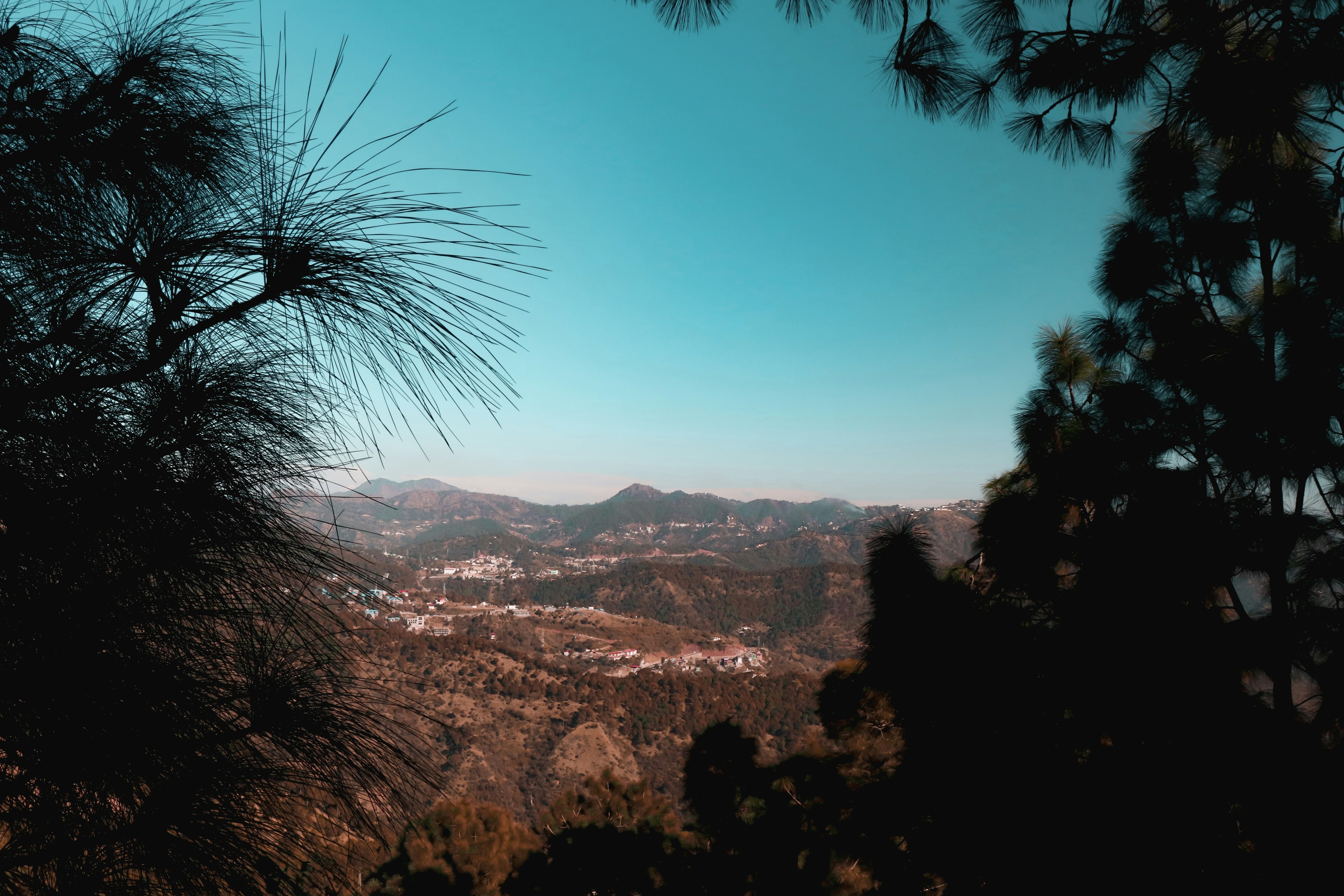 Valley Vista: Distant Mountain Town Framed by Pines Against a Cyan Sky