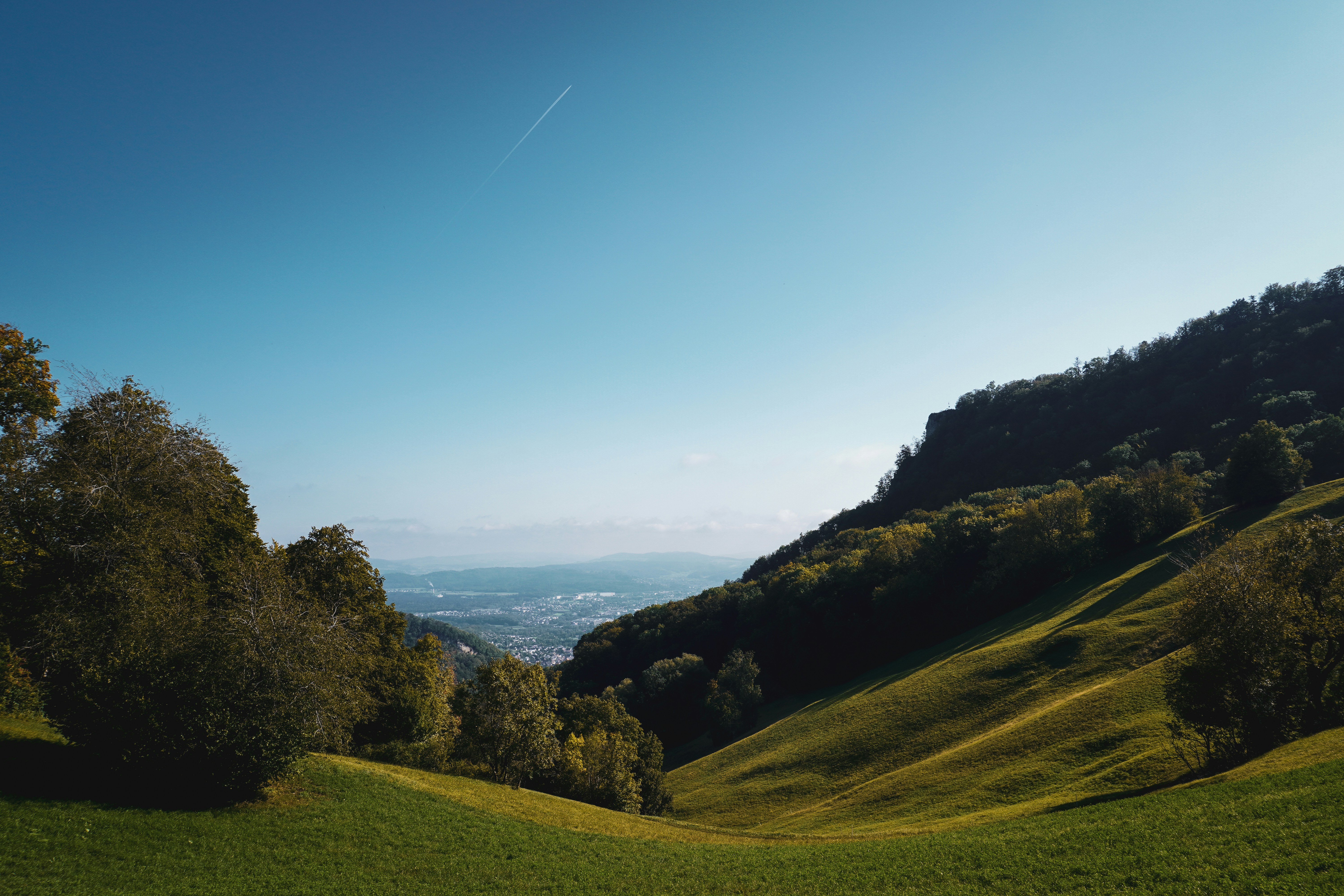 A lush green hillside covered in lots of trees photo – Free Nature ...