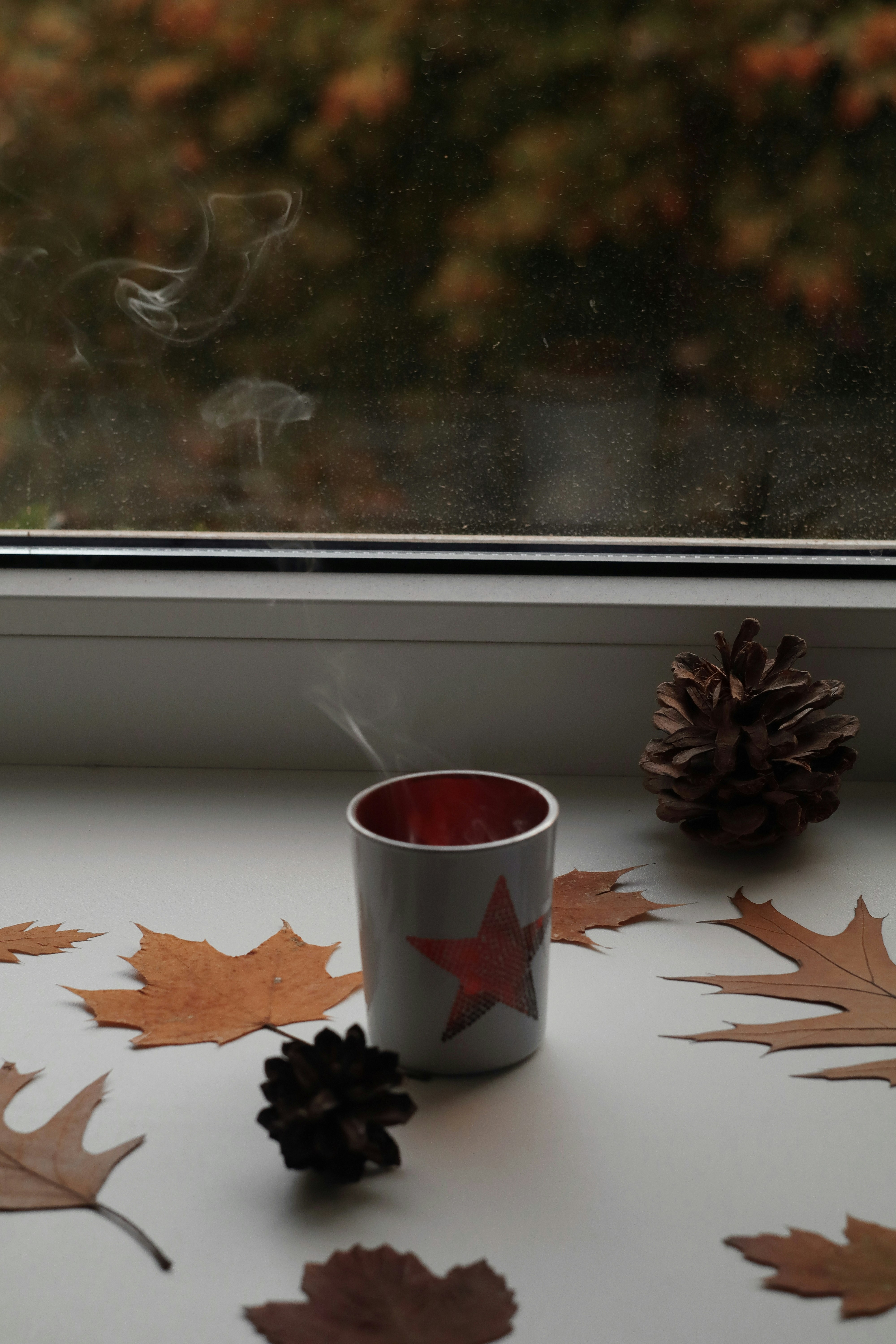 Starred Mug on a Windowsill Amid Autumn Leaves