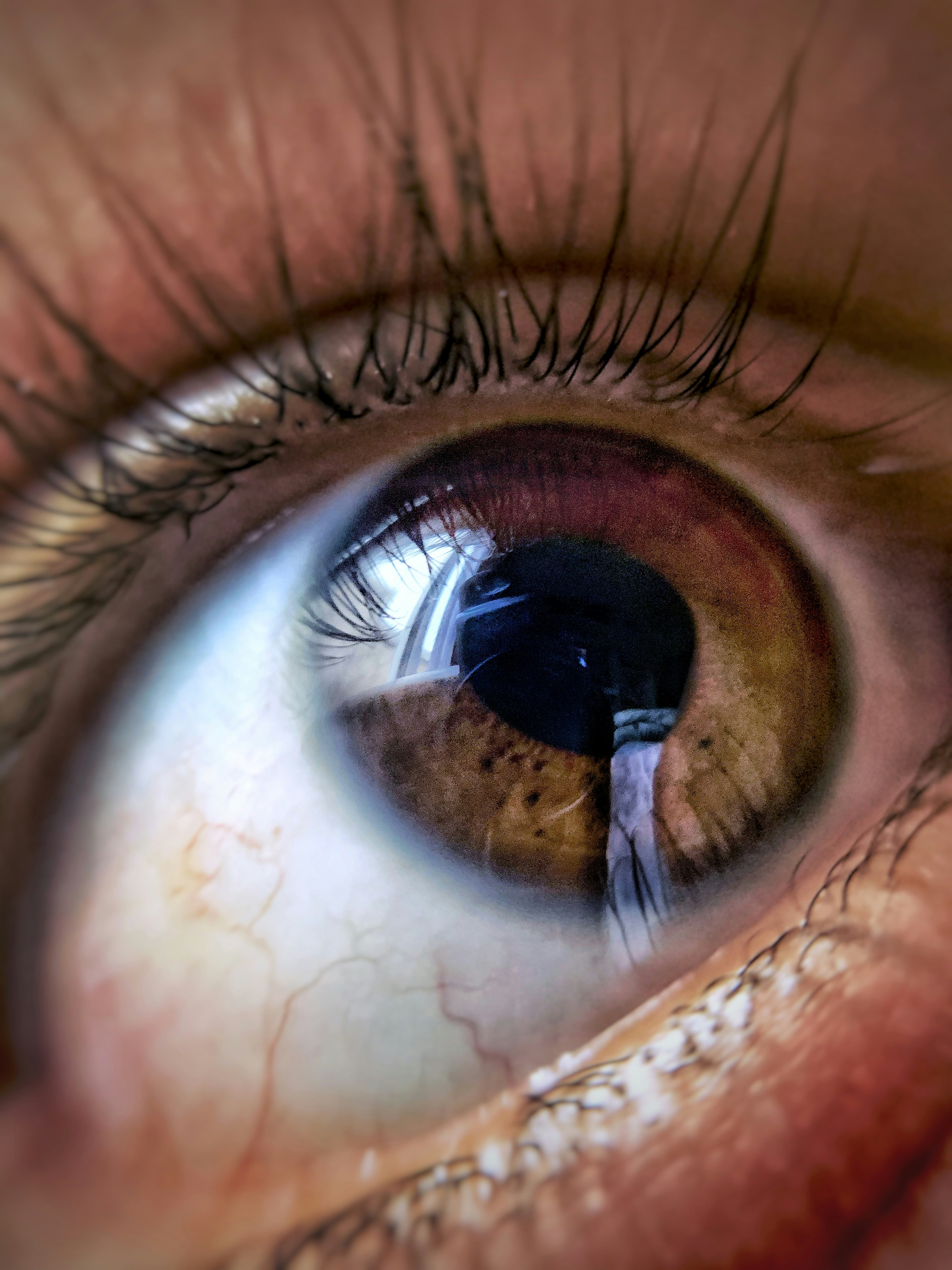 Best 500+ Brown Eye Pictures | Download Free Images on Unsplash