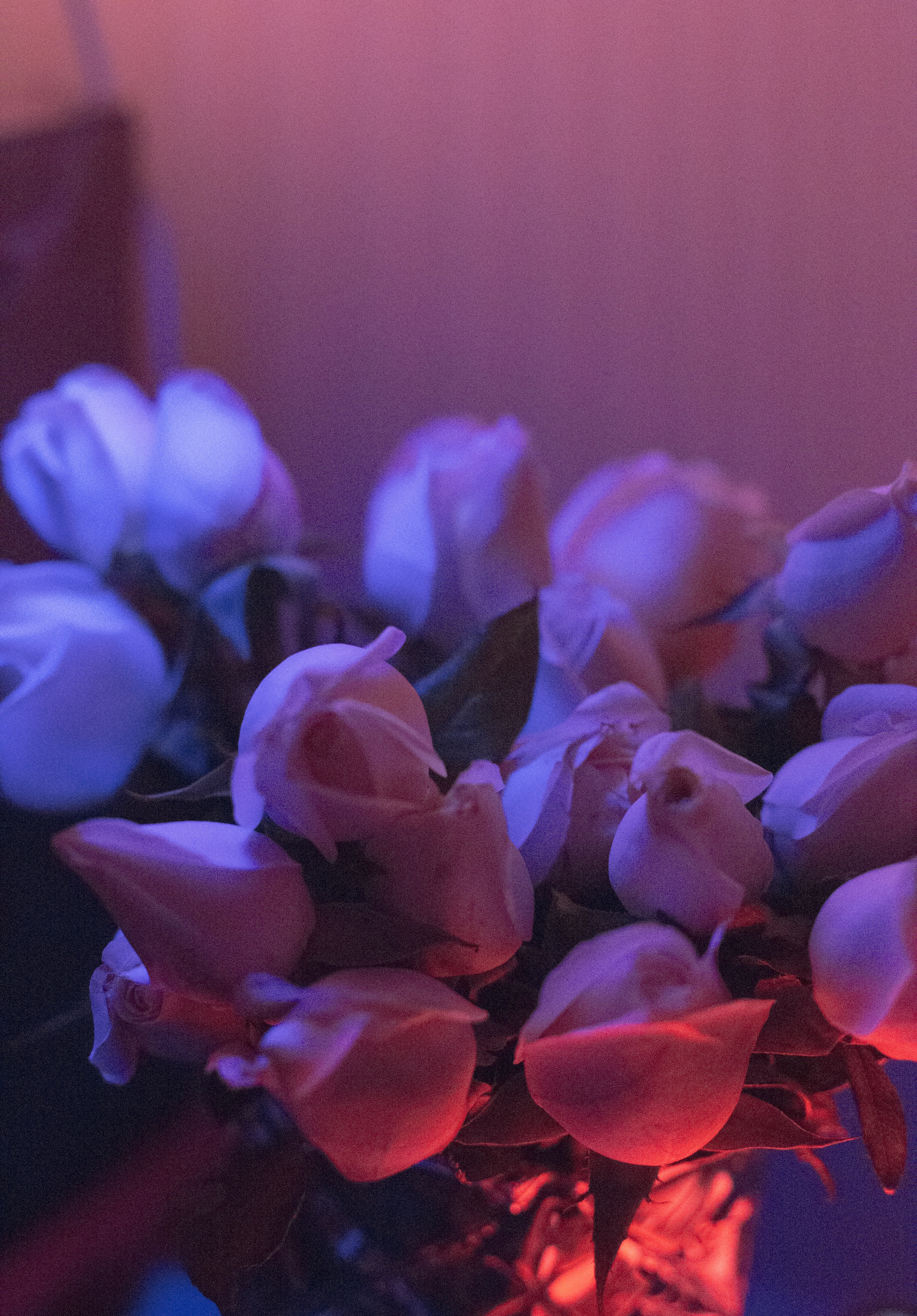 Alex Escu (@escuarts) | Unsplash 사진 커뮤니티