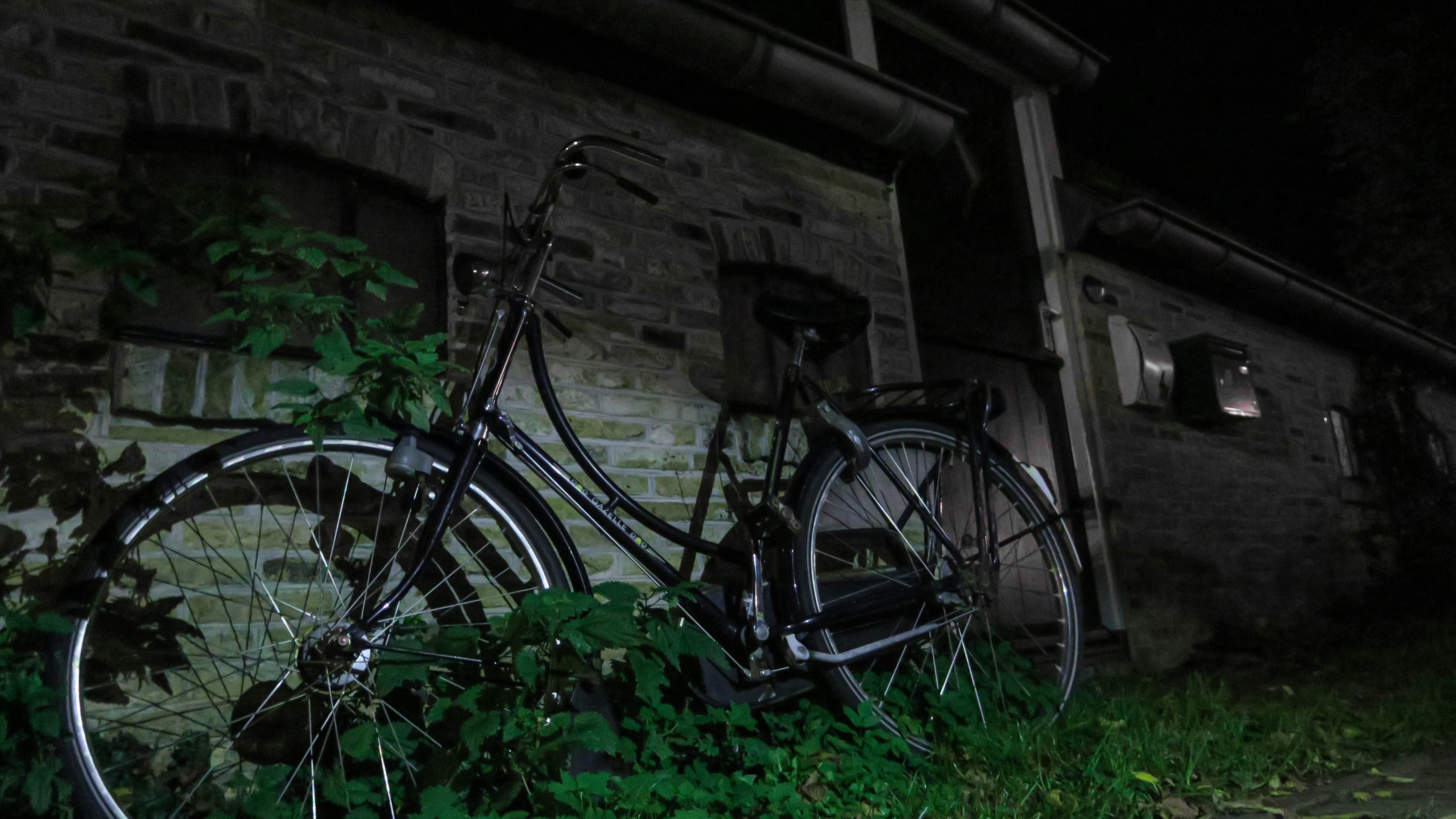 An abandoned bicycle nestled among overgrown foliage beside a rustic stone wall at night.
