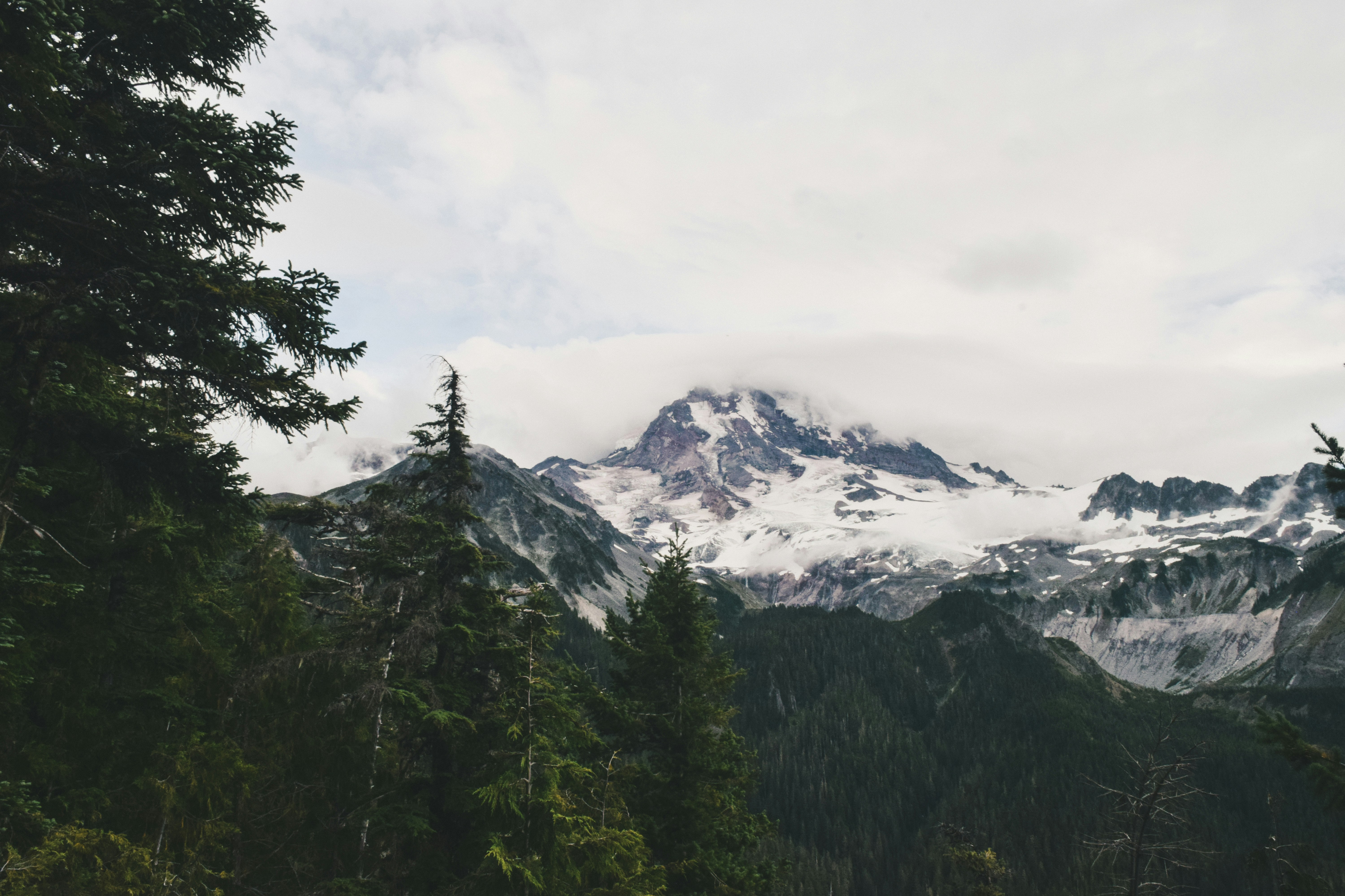 Snow-covered mountain surrounded by lush evergreen trees under a cloudy sky.