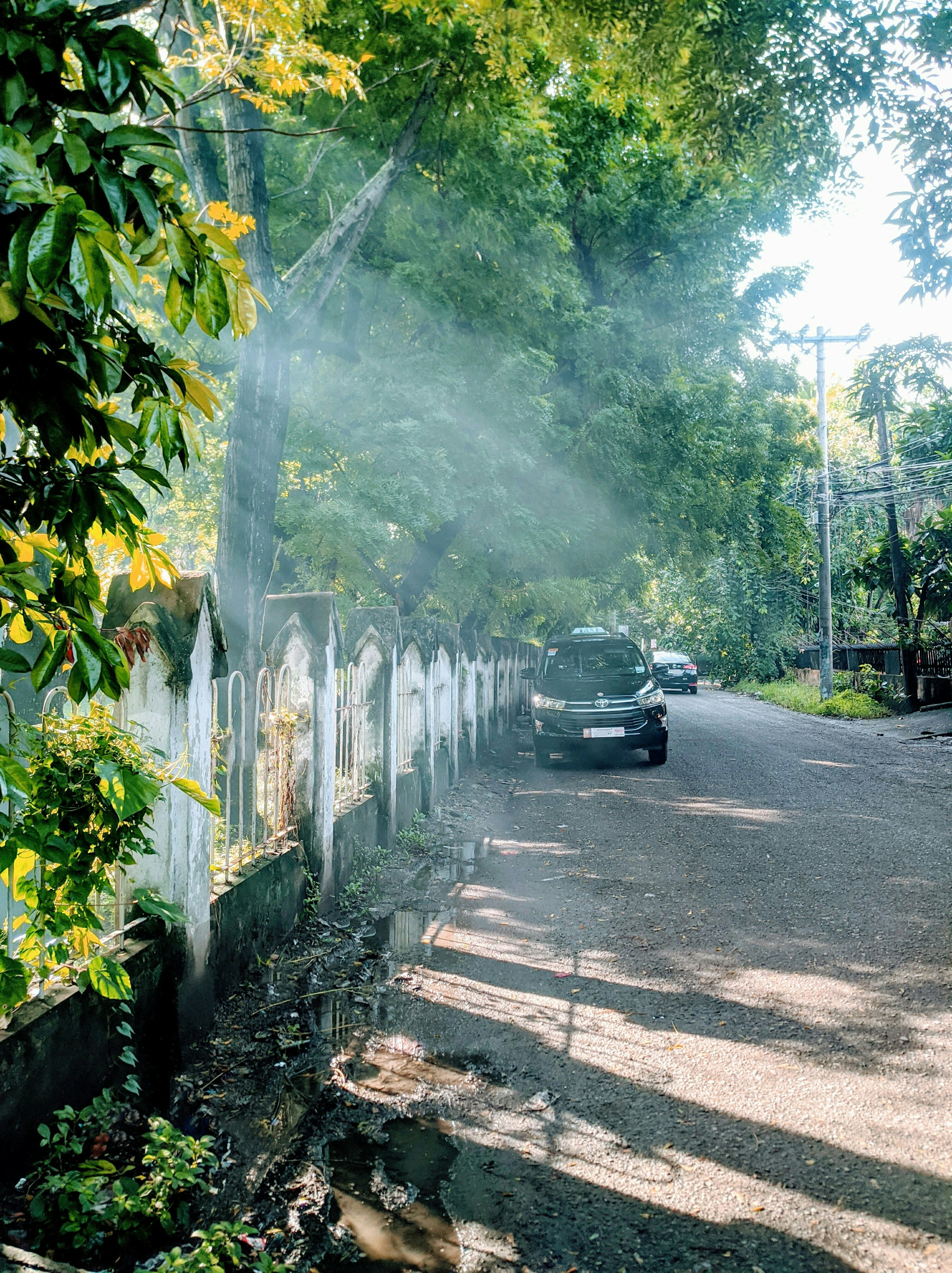A quiet street lined with lush greenery and a white picket fence, featuring a parked car and soft sunlight filtering through the trees.