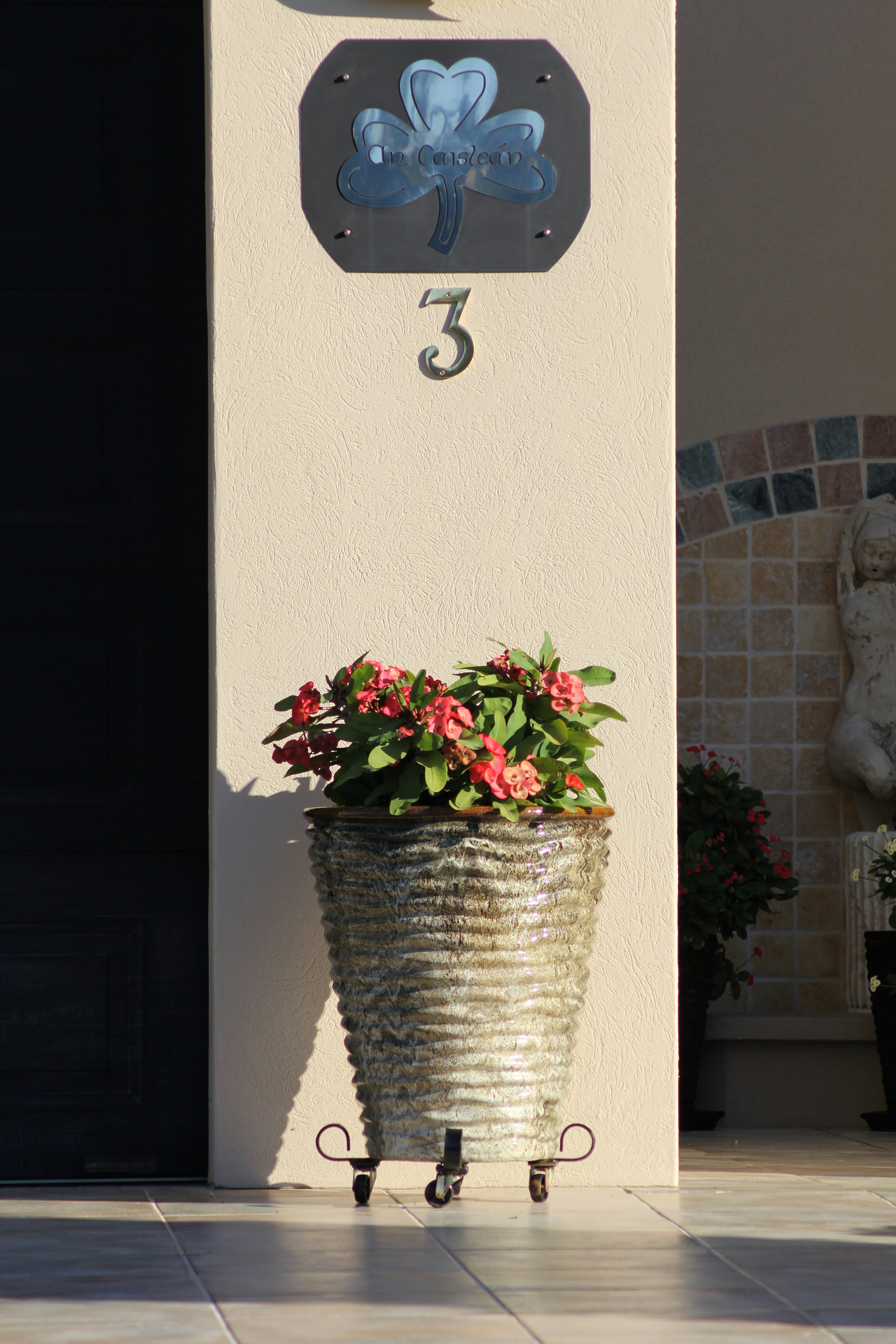 green potted plant on white concrete wall