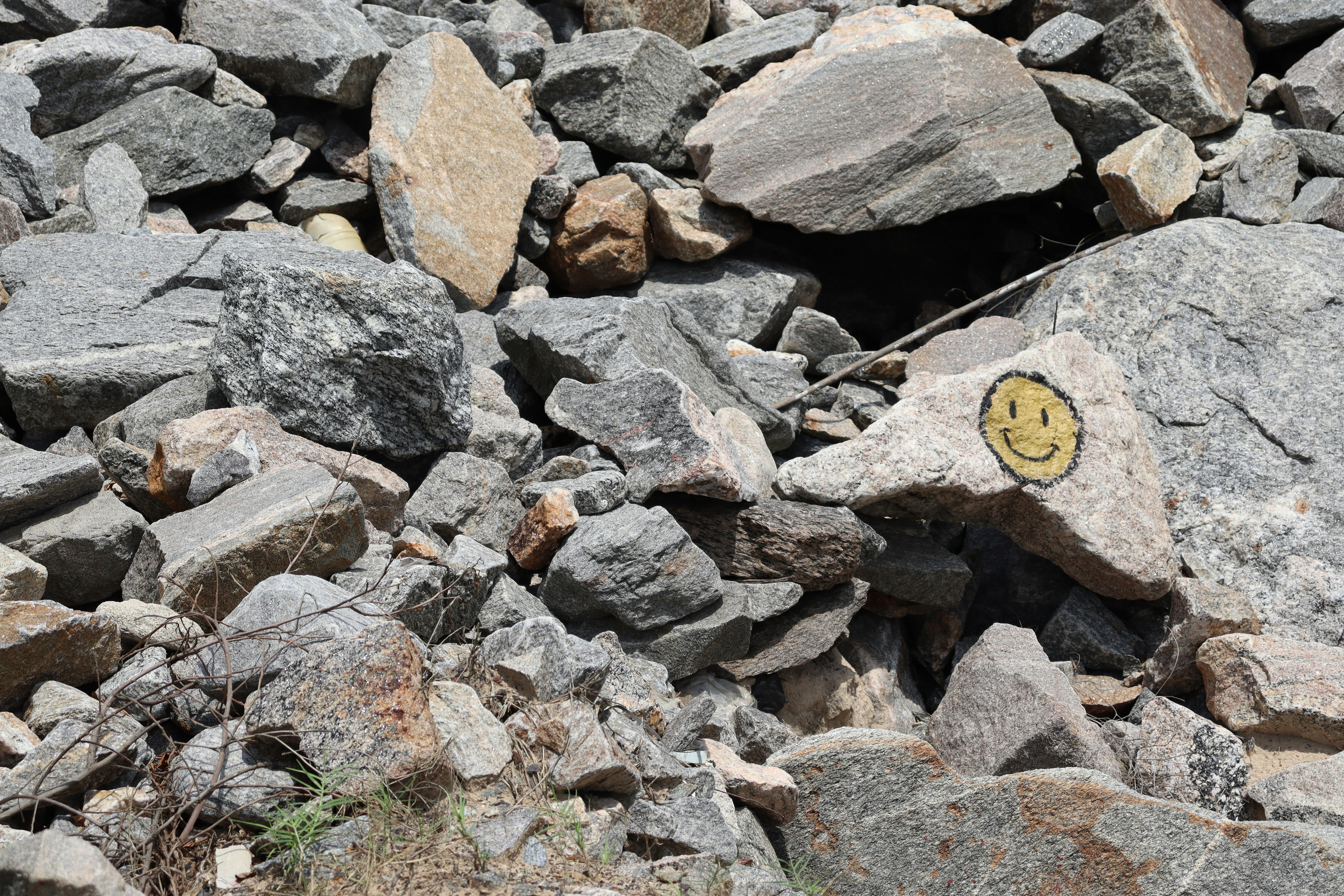 A Whimsical Sticker Among Rough Stones