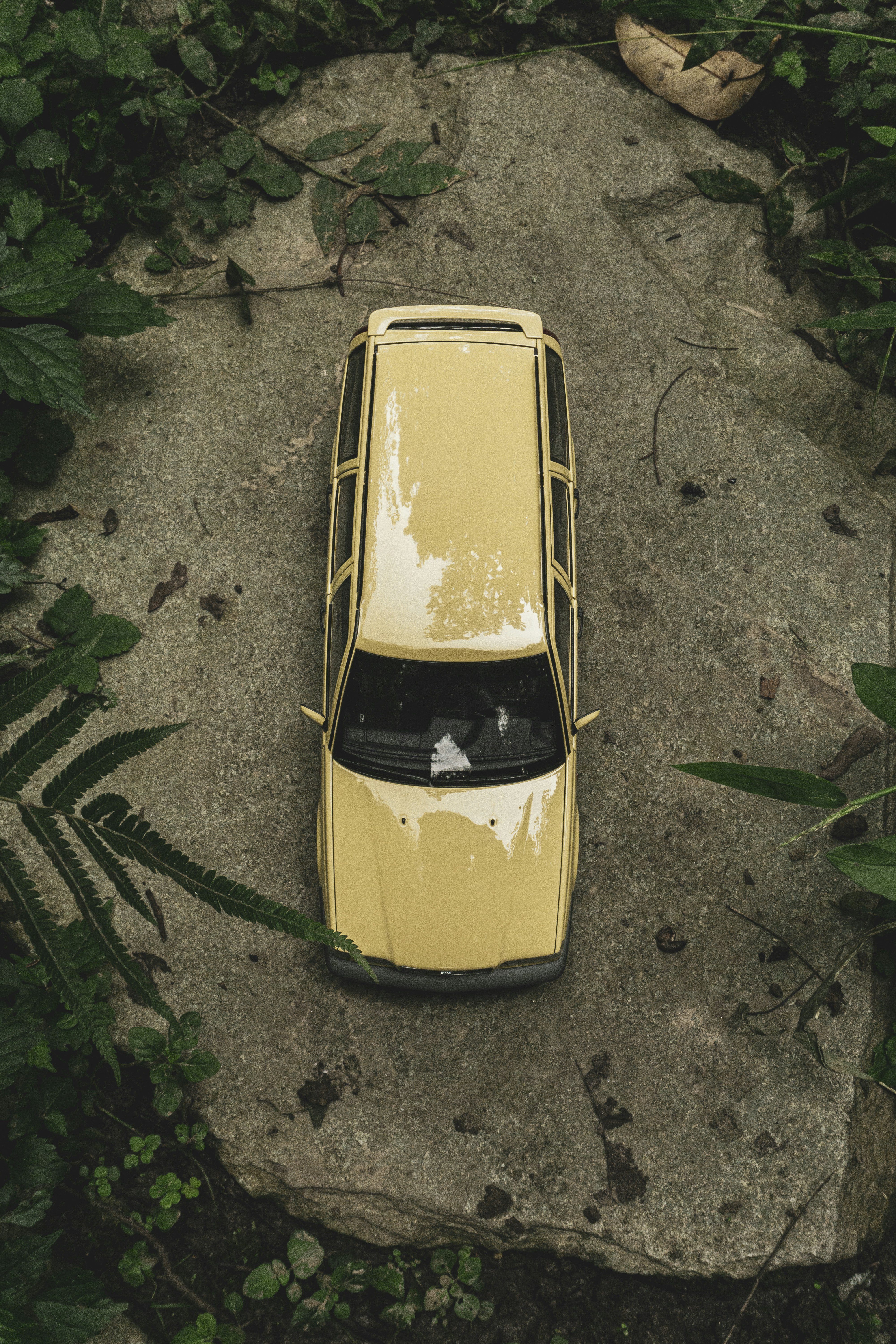 Overgrown Path to a Golden Classic
