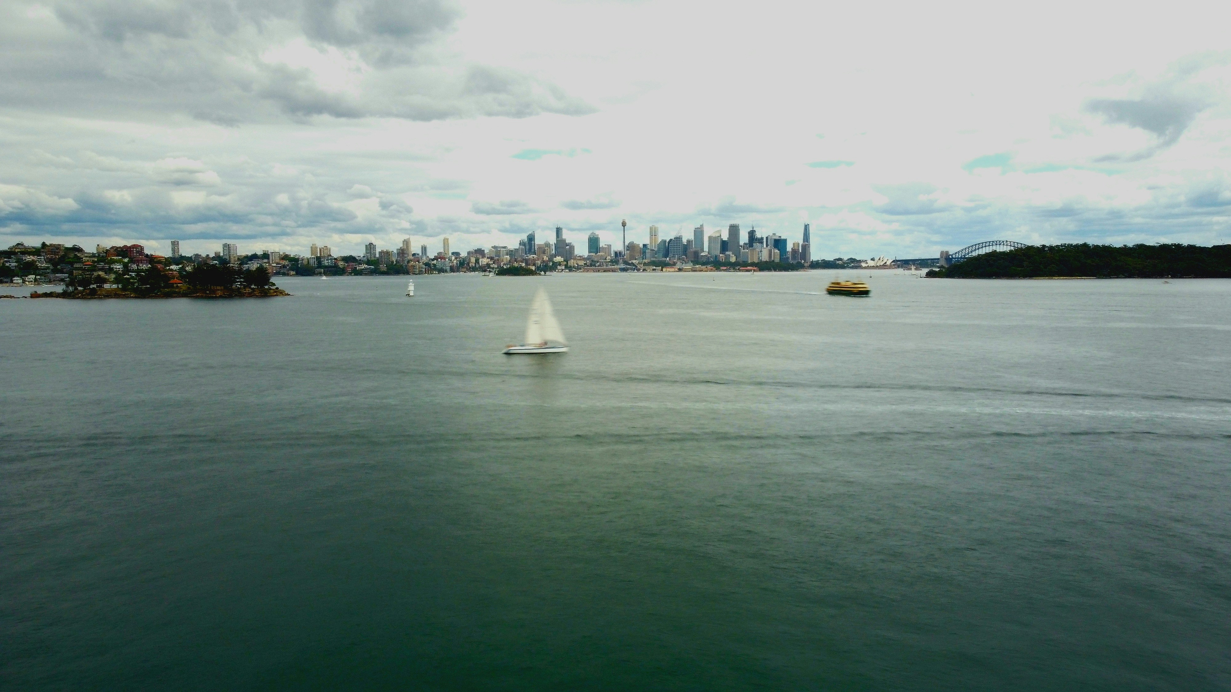 White Sail in the Quiet Harbor: Cityscape on the Horizon