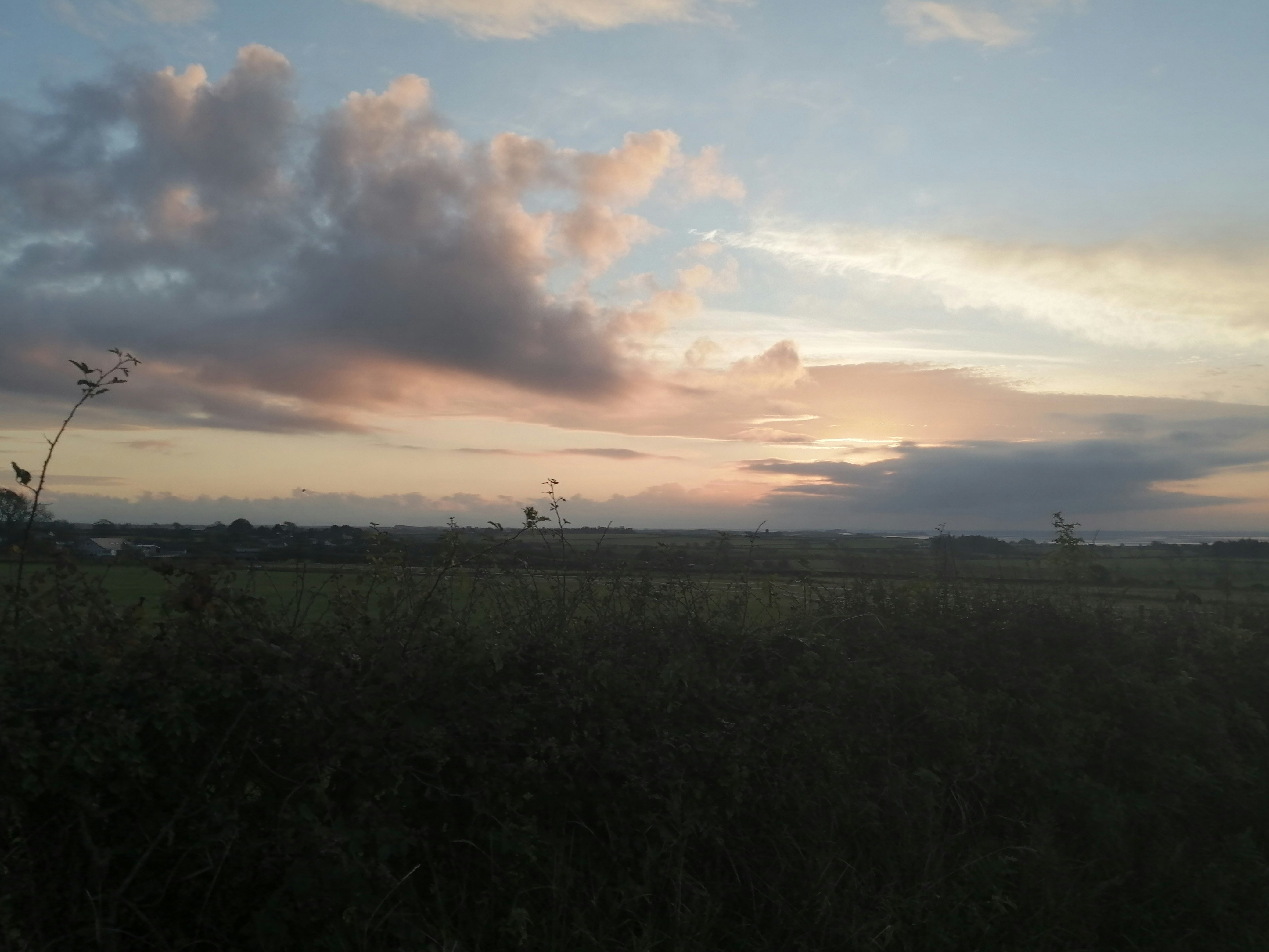 Stuart Harrison (@stuarth) | Unsplash Photo Community