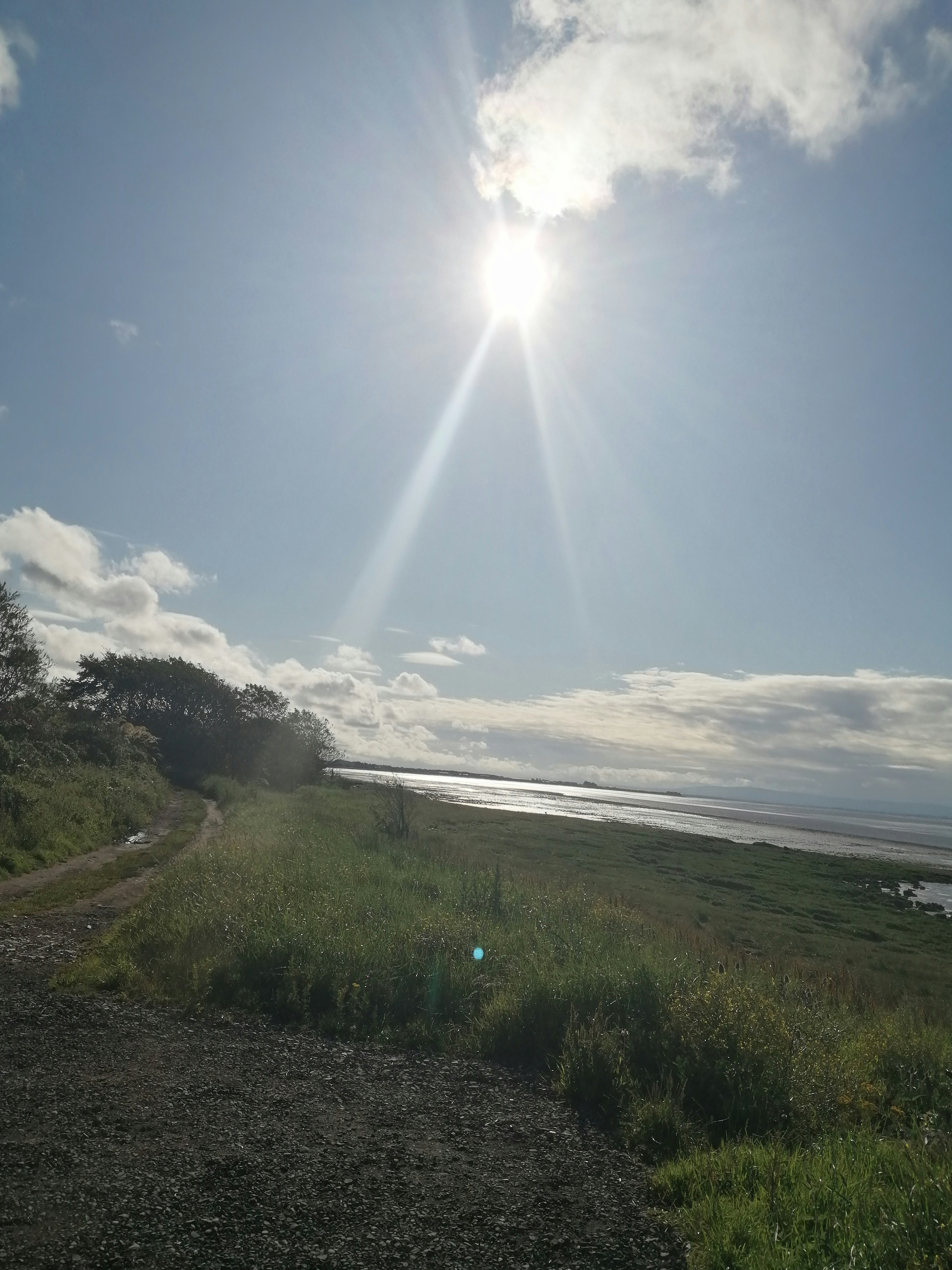 Stuart Harrison (@stuarth) | Unsplash Photo Community