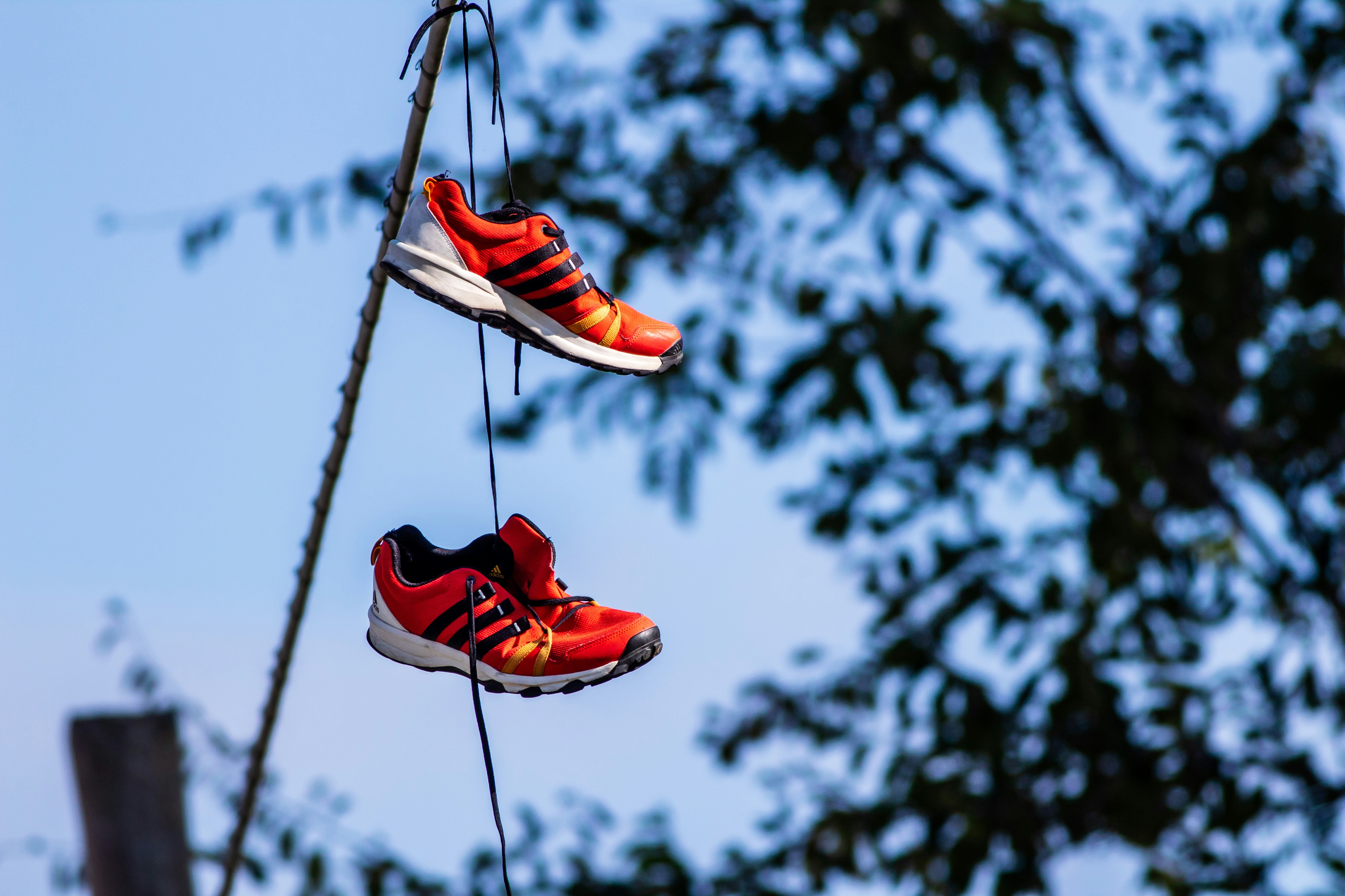 Red Sneakers on a Hanging Rope: A Minimal Moment Under the Open Sky