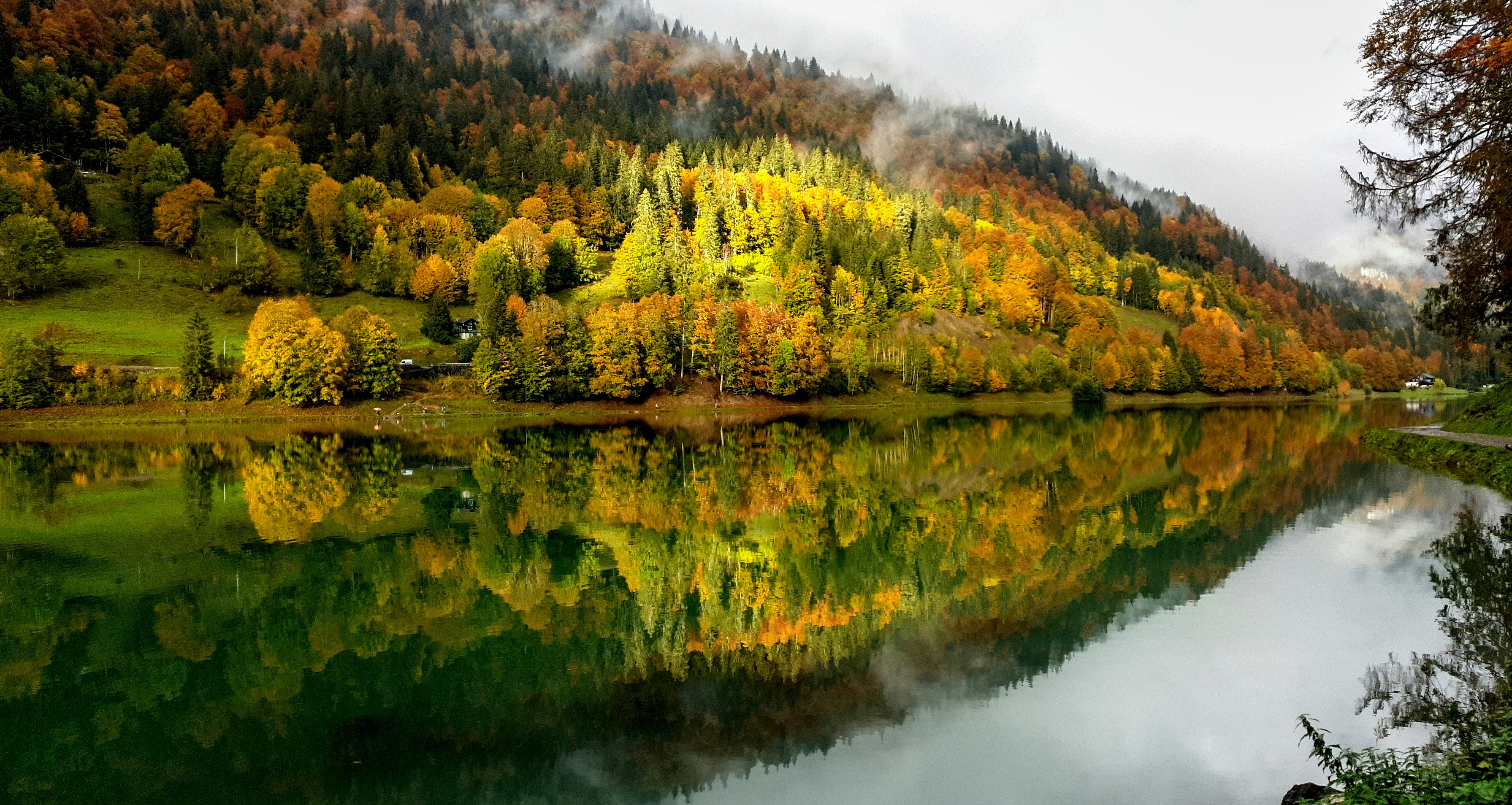 Green trees beside lake during daytime photo – Free Montriond Image on ...