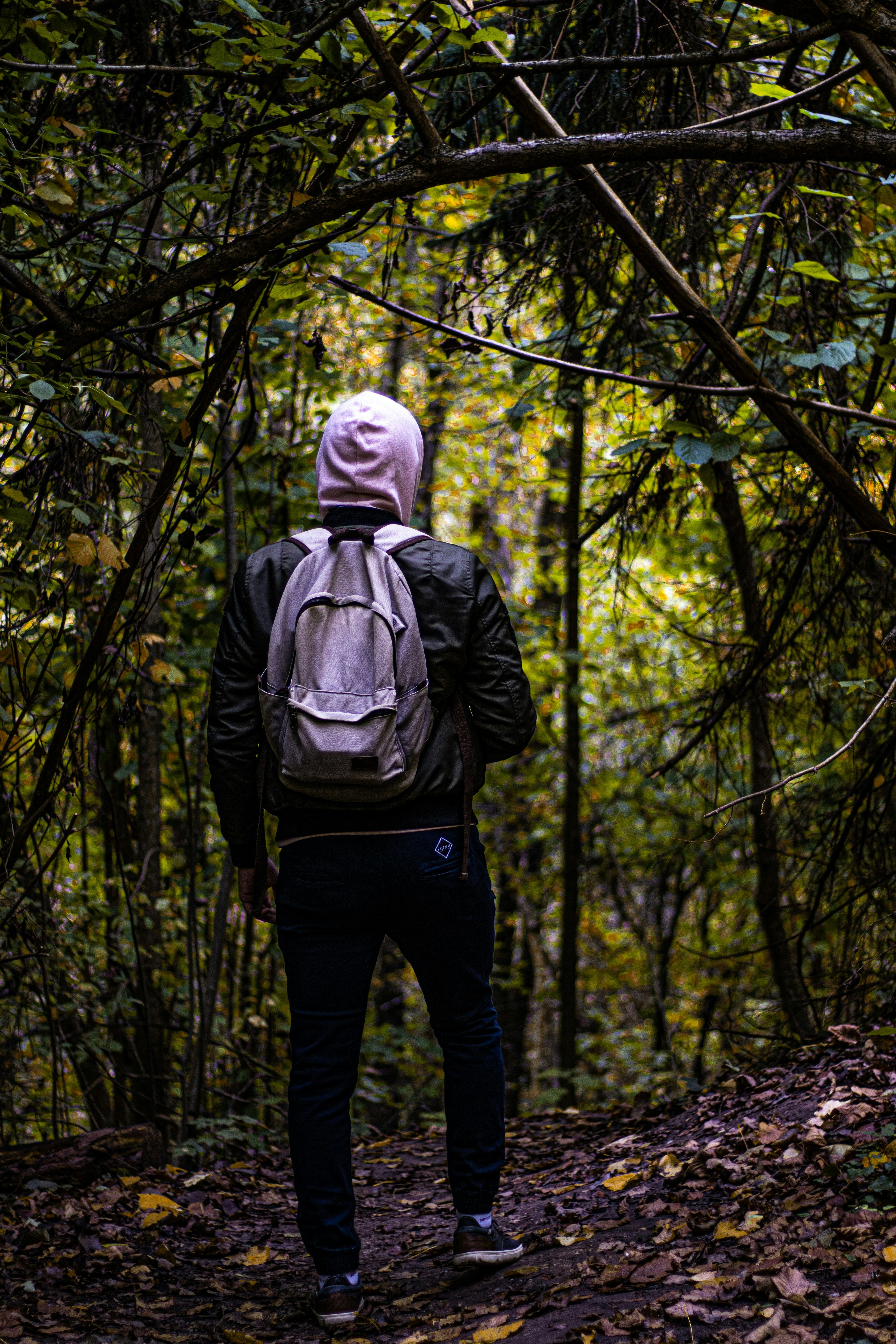 Person in gray hoodie and black pants standing on forest during daytime photo – Free Human Image ...