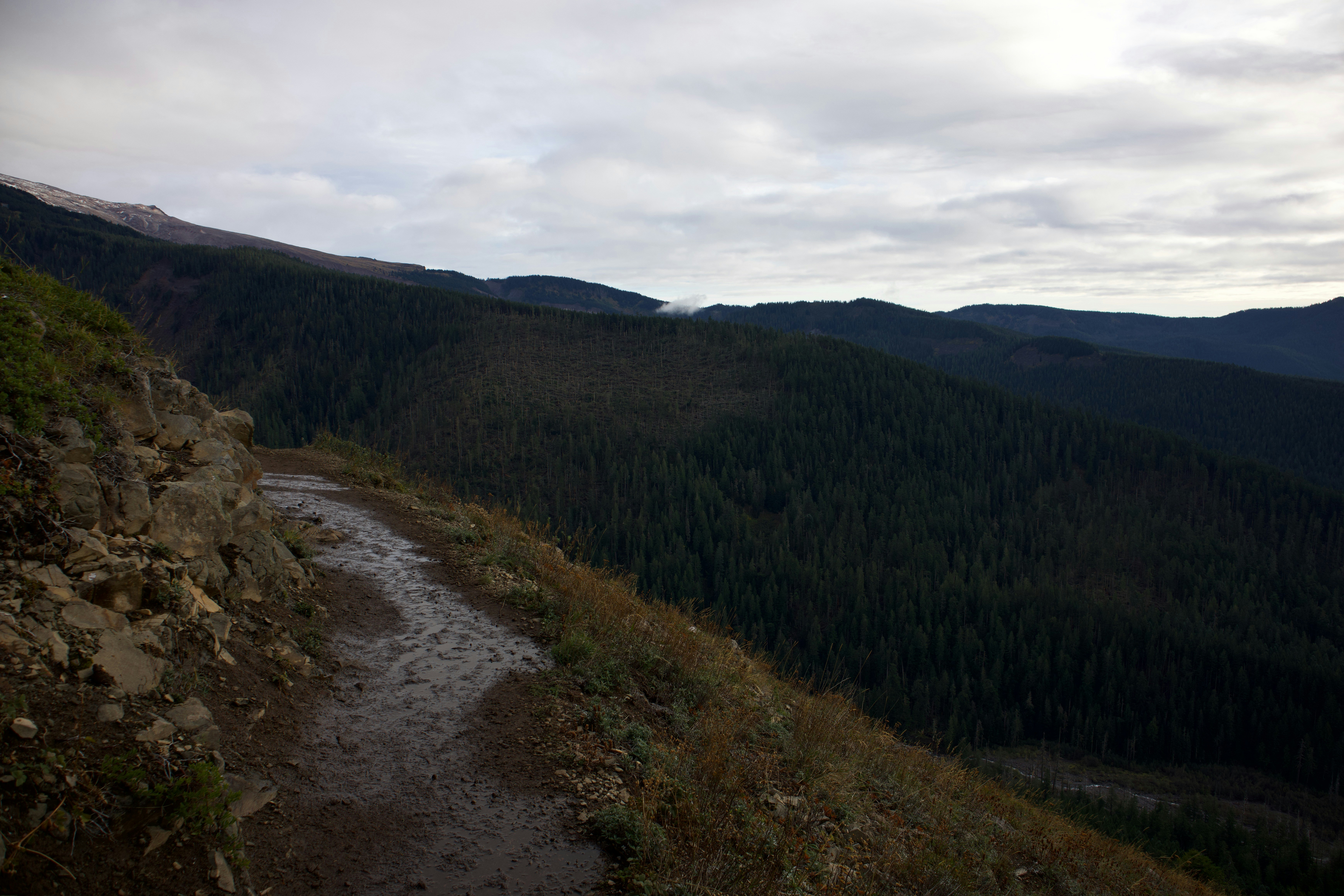 Whispers of the Wilderness: A Mountain Trail's Embrace