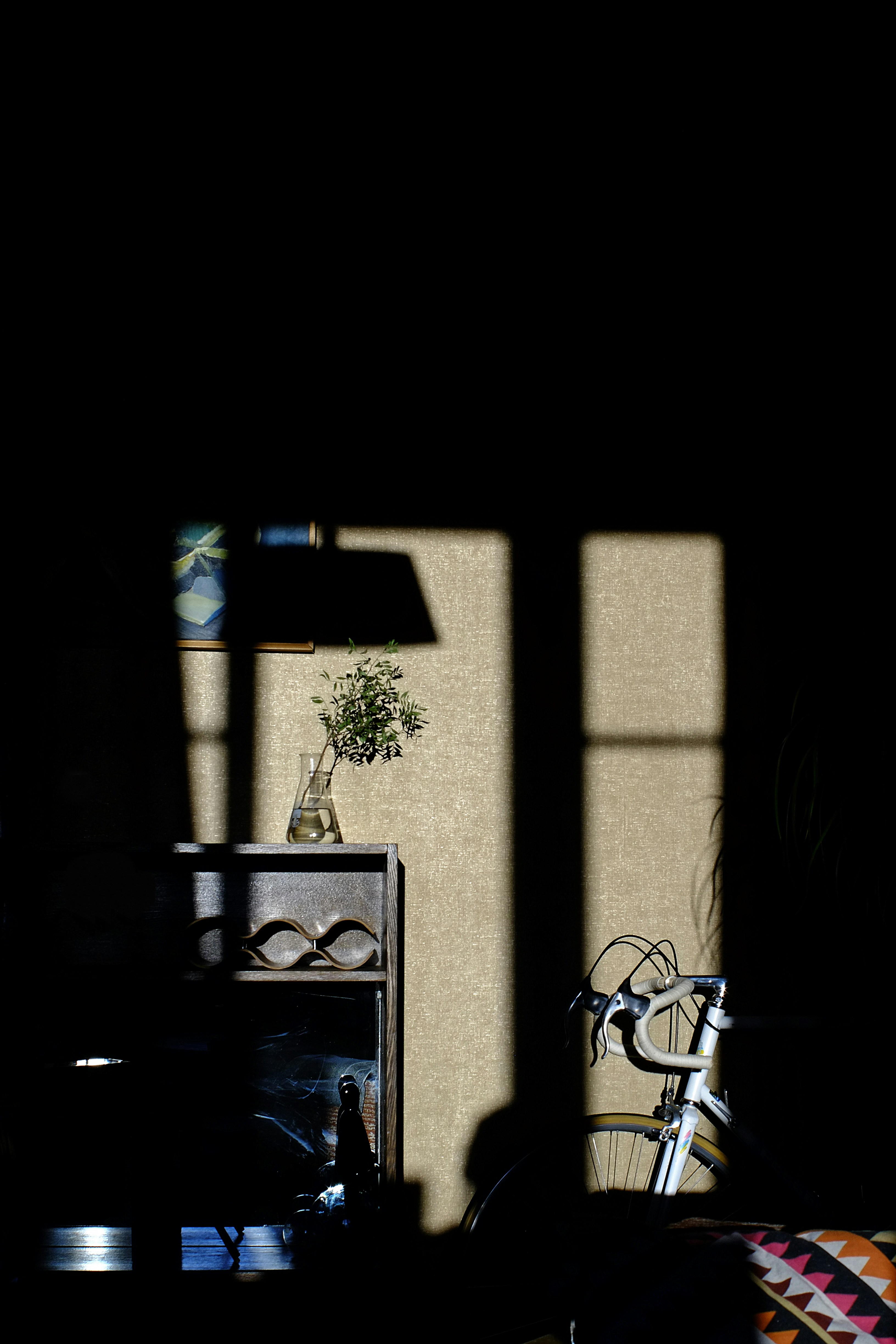 Shadows, Plant and Bicycle: Windowlight in a Quiet Interior
