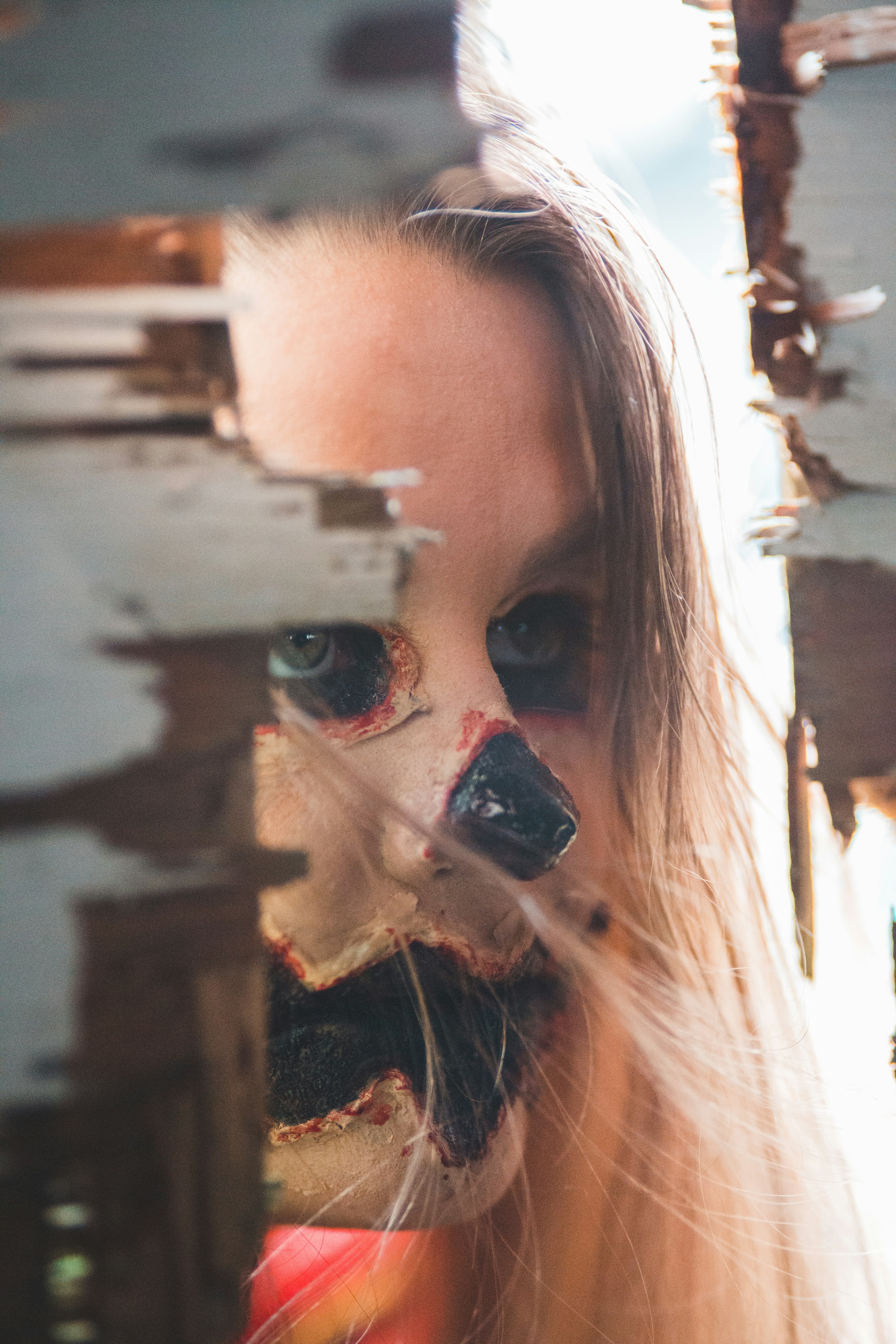 Masked Deterioration: Portrait Through a Split Window