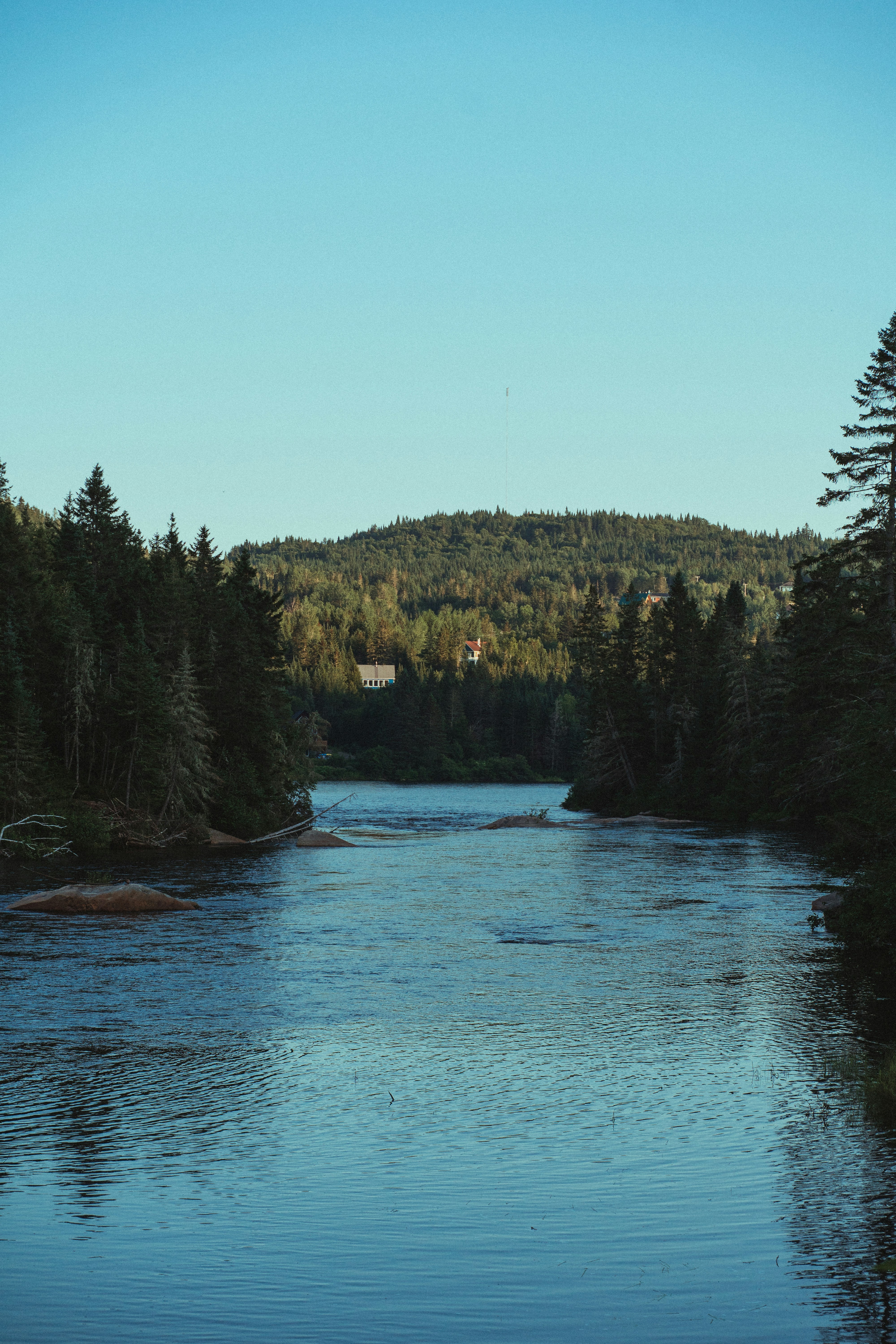 Green trees beside river under blue sky during daytime photo – Free ...