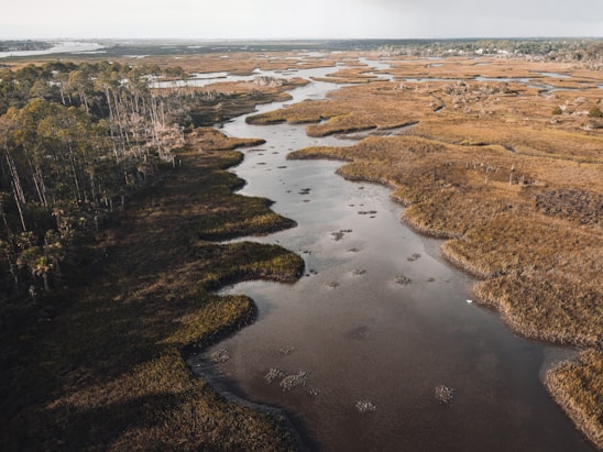 The Best Pantanal Prices, Lodges, Tours. All in One Place | Pantanal Bay