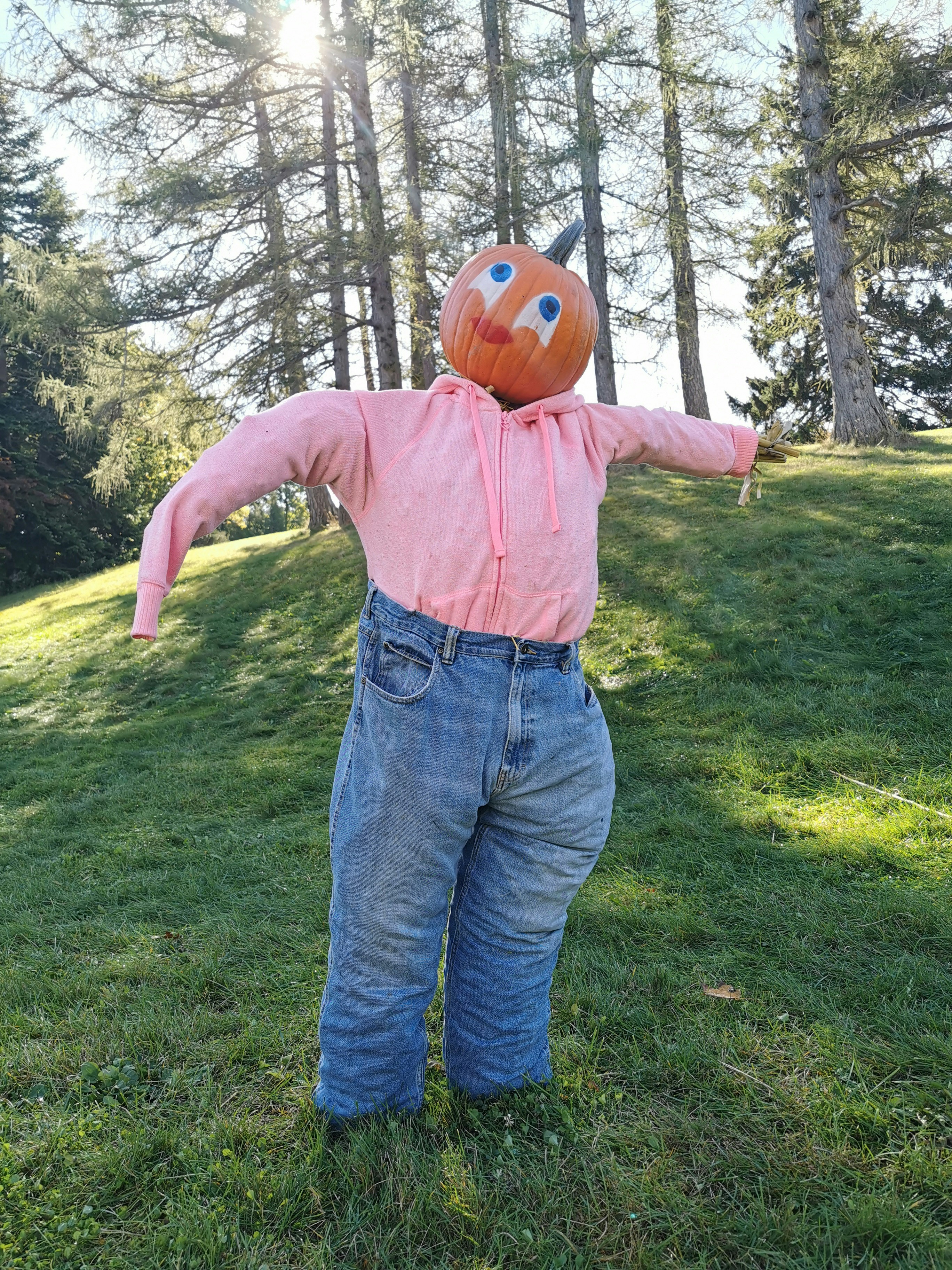 A scarecrow dressed in a pink hoodie and denim jeans stands proudly on a grassy hill, with a pumpkin head smiling under the sun.