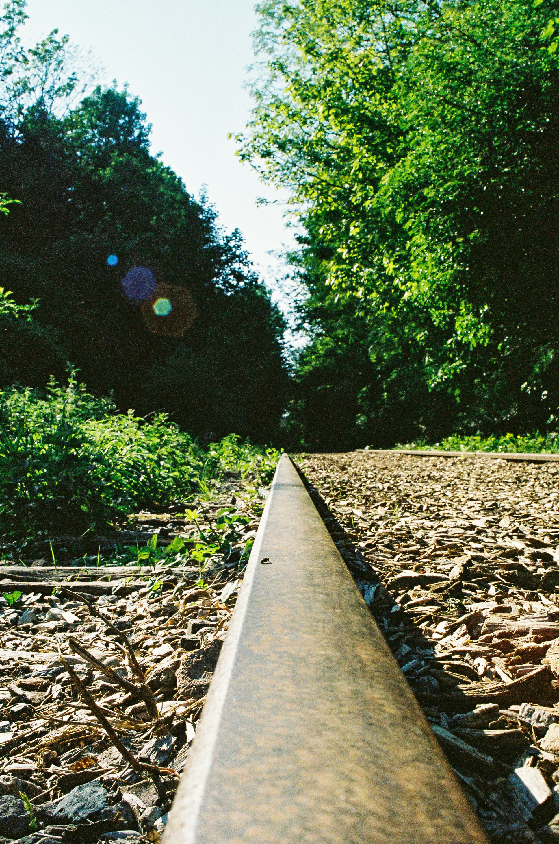 Rusty railway track stretching into a lush green corridor, framed by vibrant foliage and dappled sunlight.