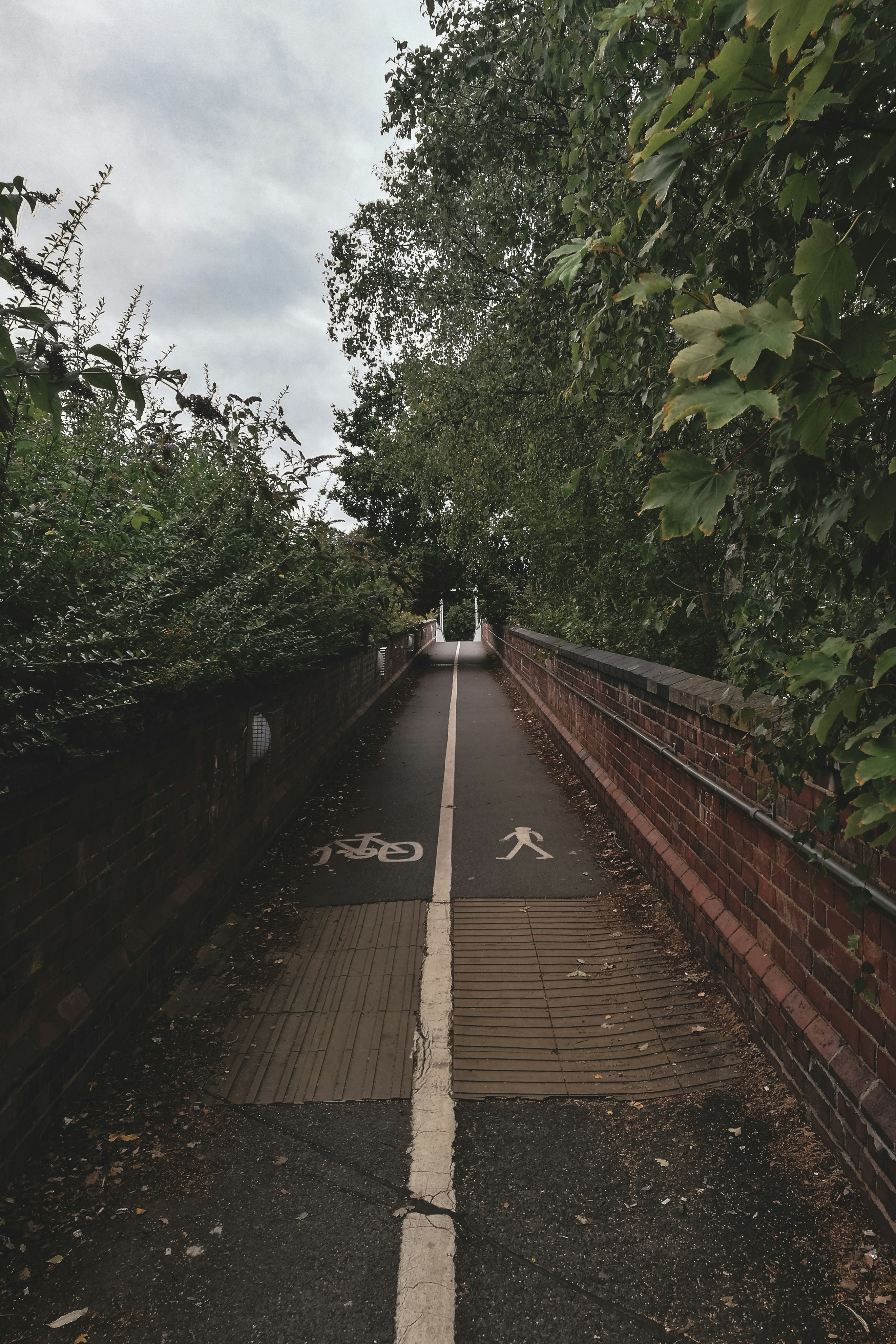 Tree-lined pathway with designated bike and pedestrian lanes leading towards a distant archway. 