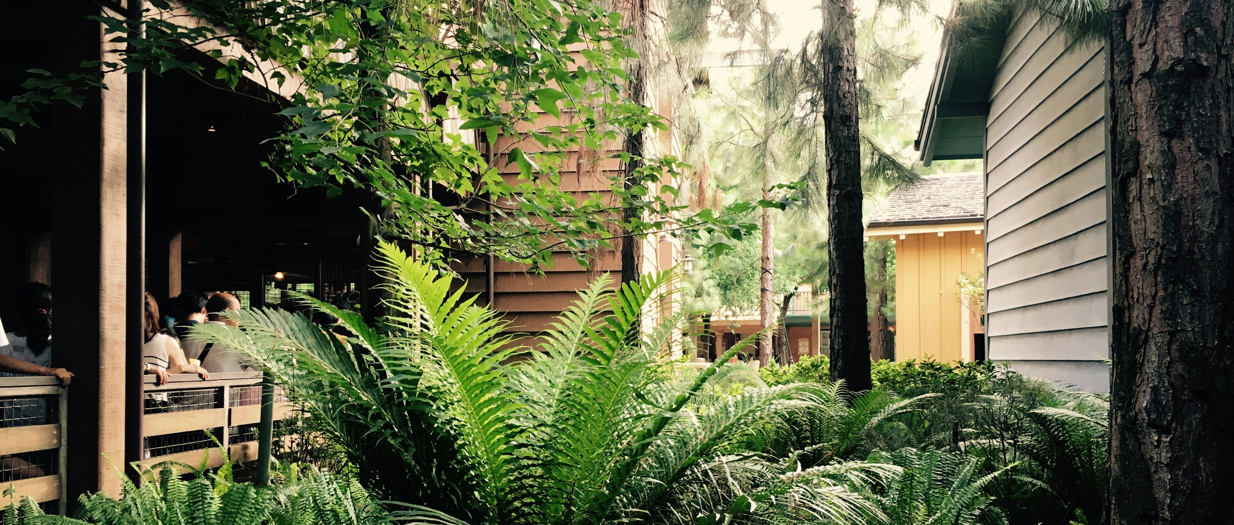 Fern-lined Courtyard Café: Sunlit Seating Between Wooden Cabins