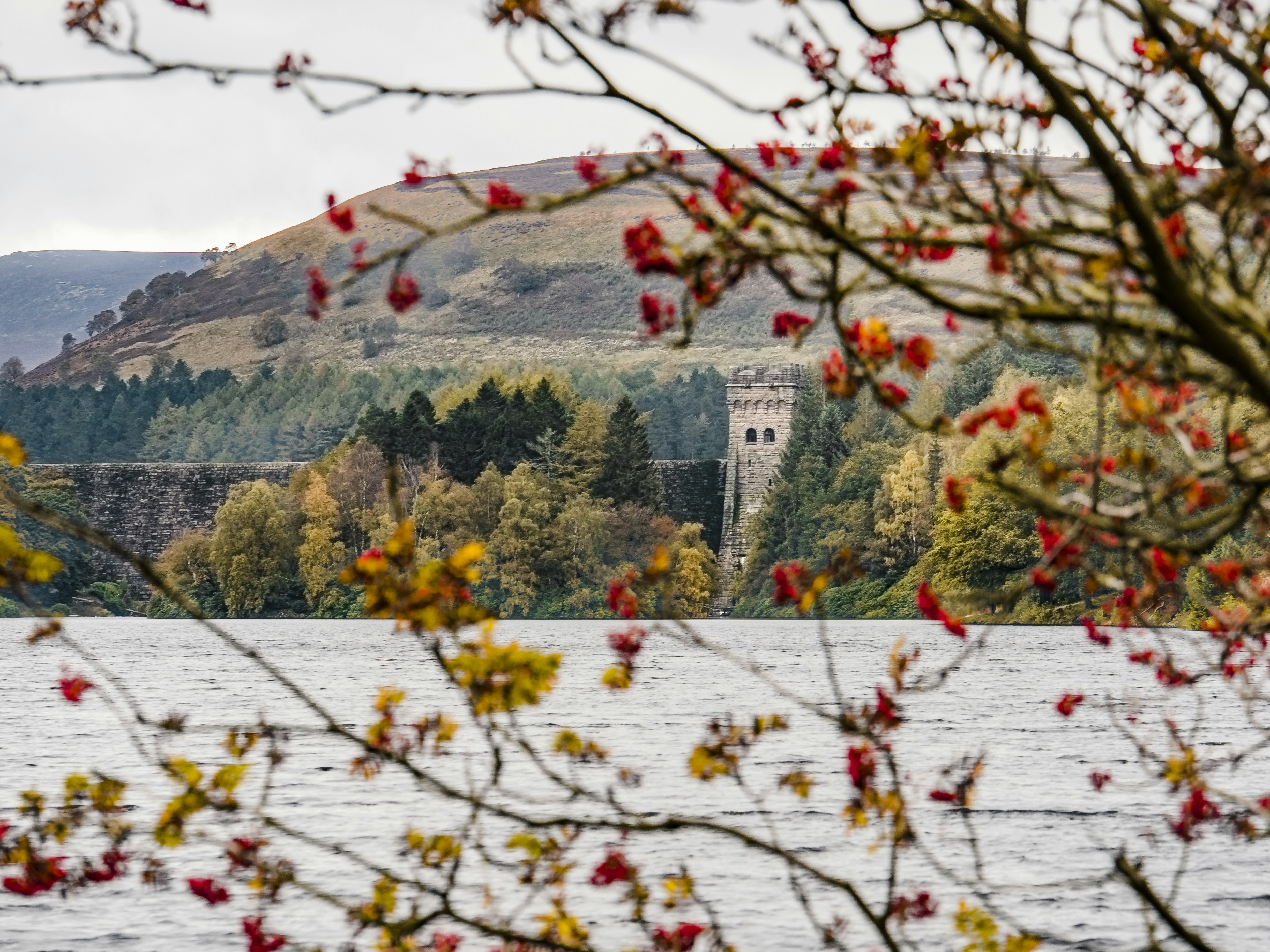 Crimson Frame: A lakeside tower rises beyond autumn branches