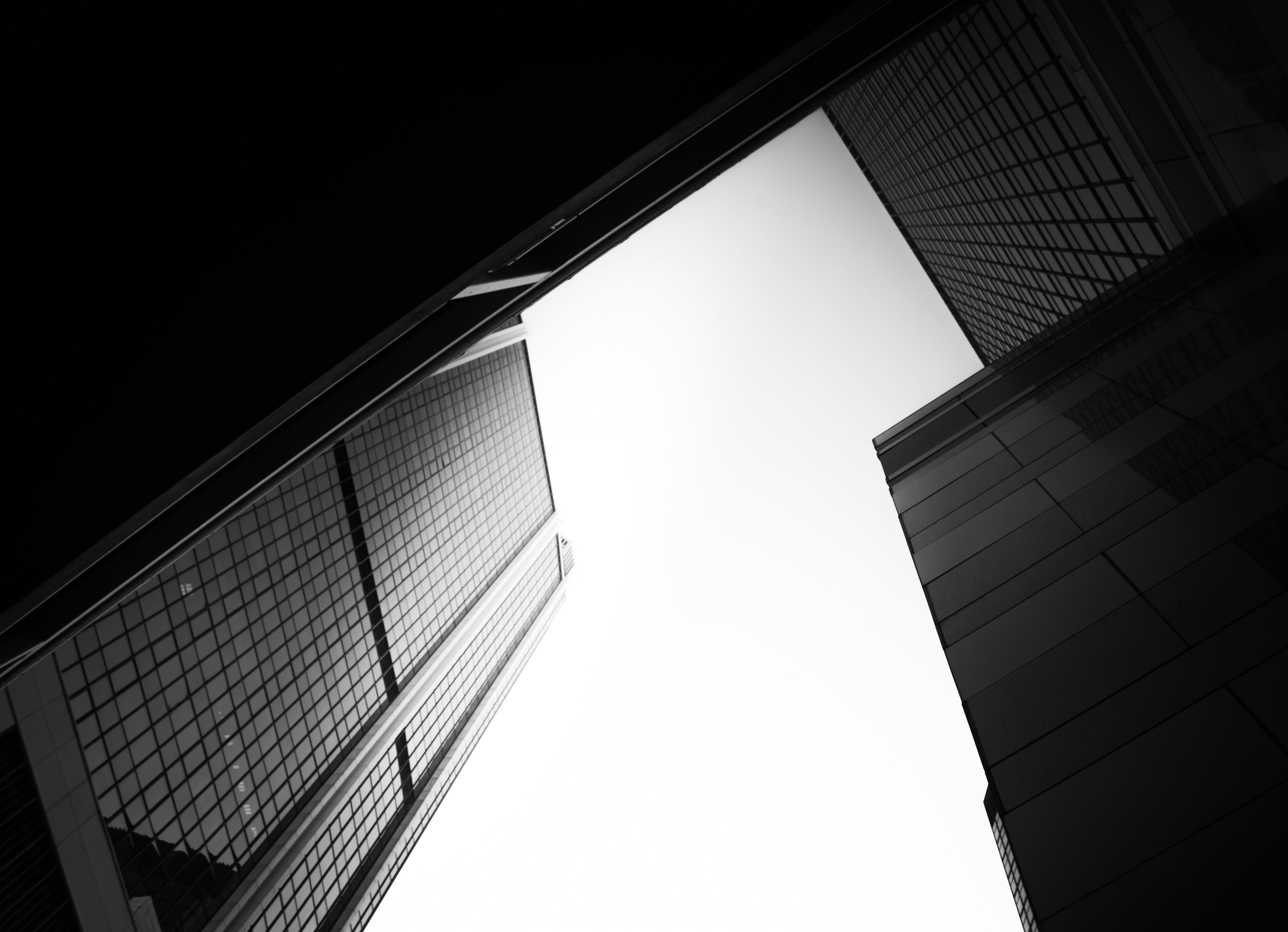 Skyscrapers converge towards the sky in a monochromatic view, highlighting sleek architectural lines.
