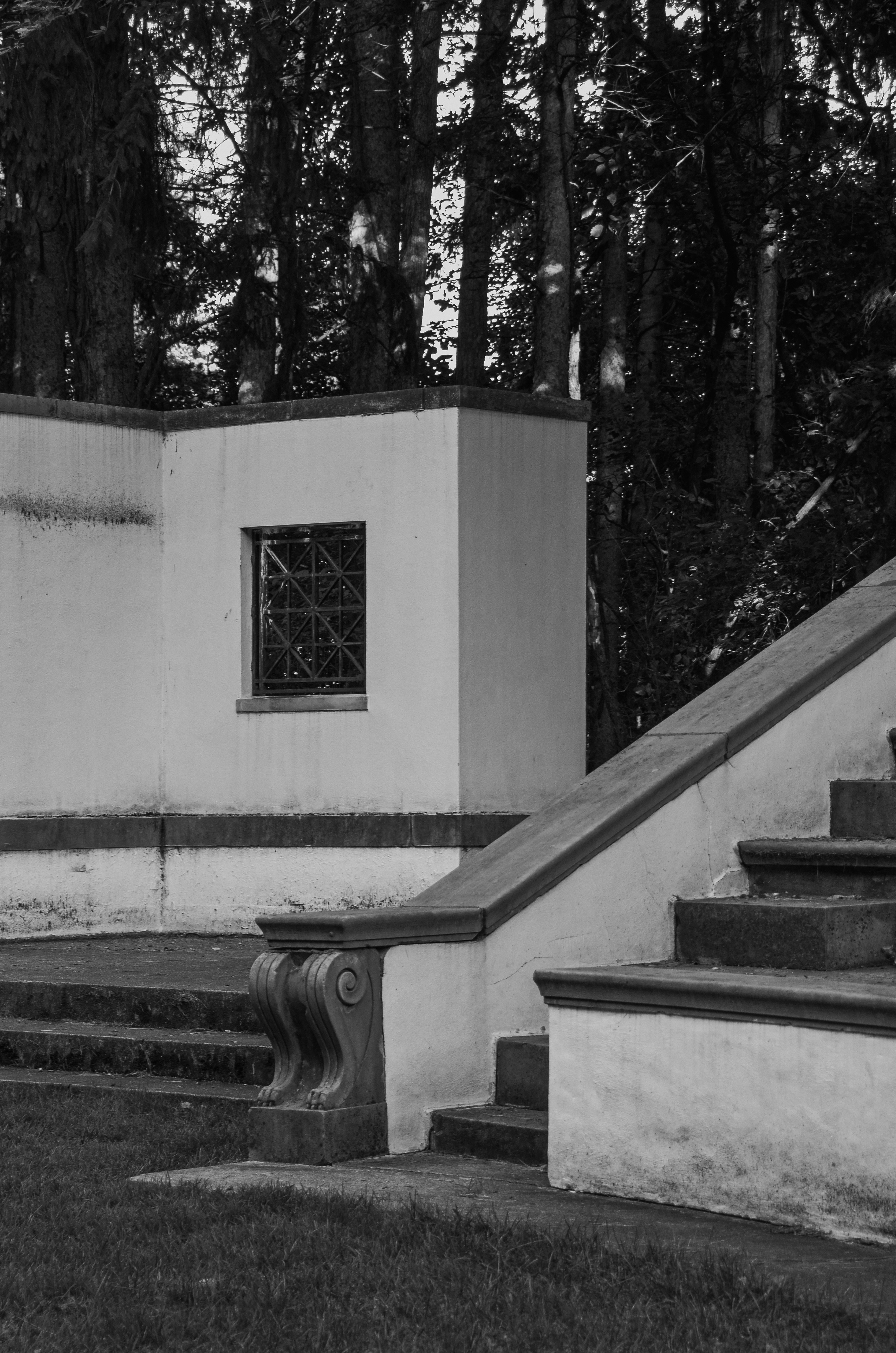Monochrome Architecture and Nature Interplay