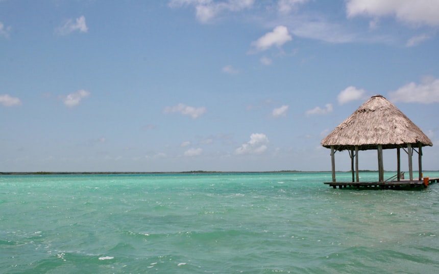 Sian Ka'an Private Boat Tour from Tulum: What to Expect in 2026 | Nauty 360