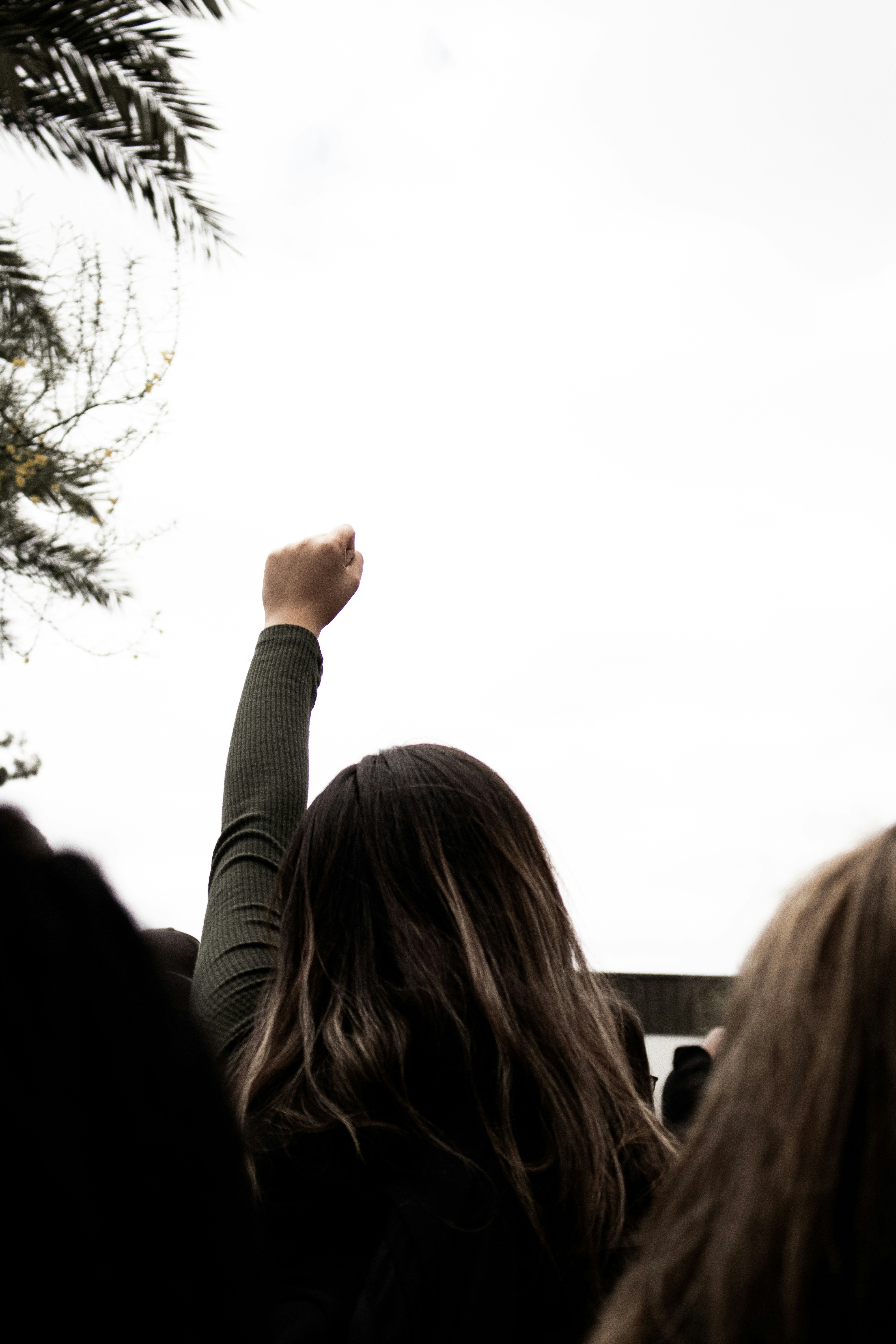 A raised fist emerges from a crowd, symbolizing solidarity and protest against injustice. The background features blurred figures and foliage, enhancing the focus on the gesture.