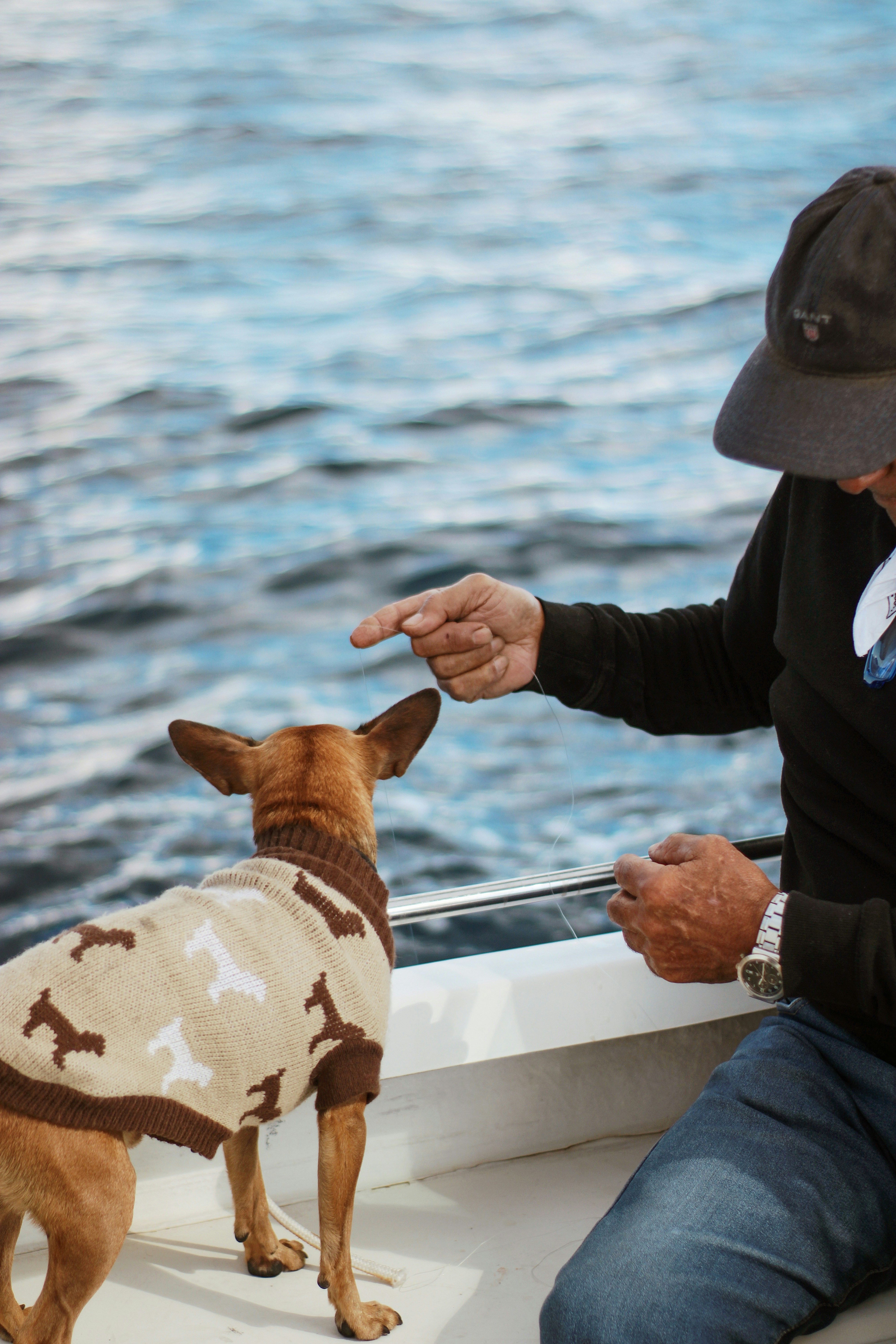 Sea-Facing Gentle Exchange: Hand, Hound, and a Sweater on a Quiet Deck