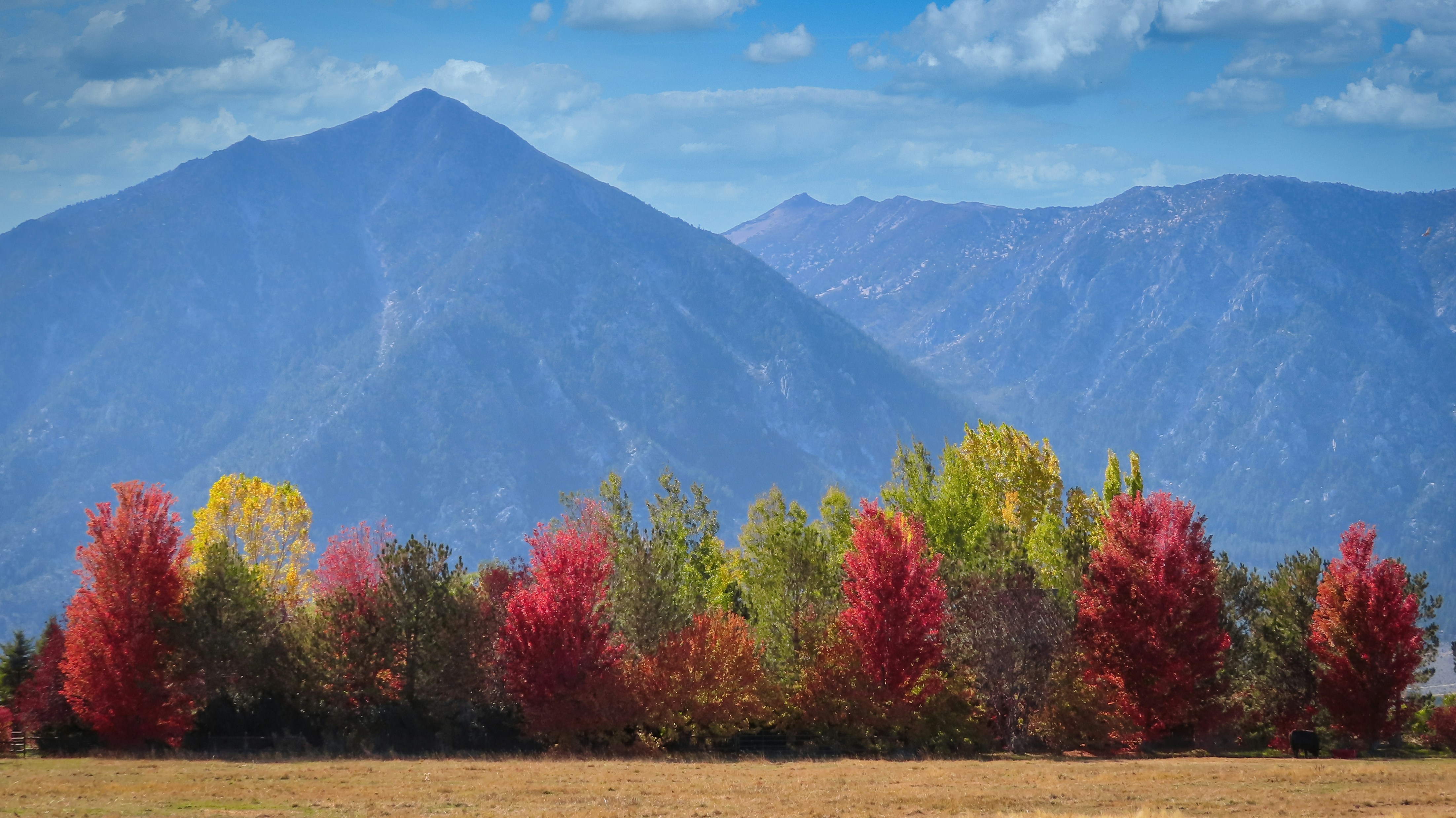 Vibrant autumn trees with red and yellow foliage stand against a backdrop of majestic mountains under a blue sky.