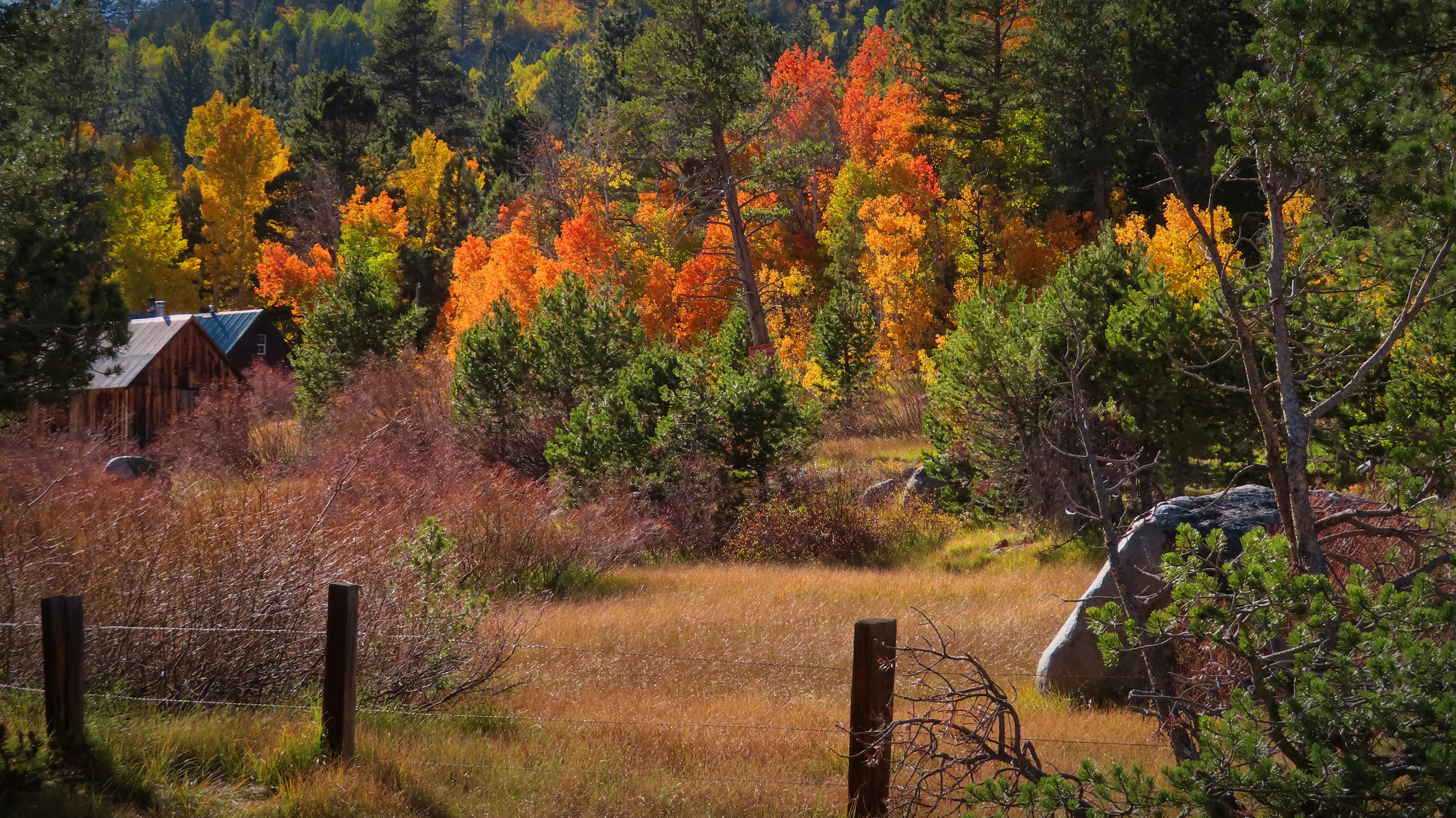 Vibrant autumn foliage surrounds a quaint cabin, showcasing the rich colors of fall amidst a serene landscape.