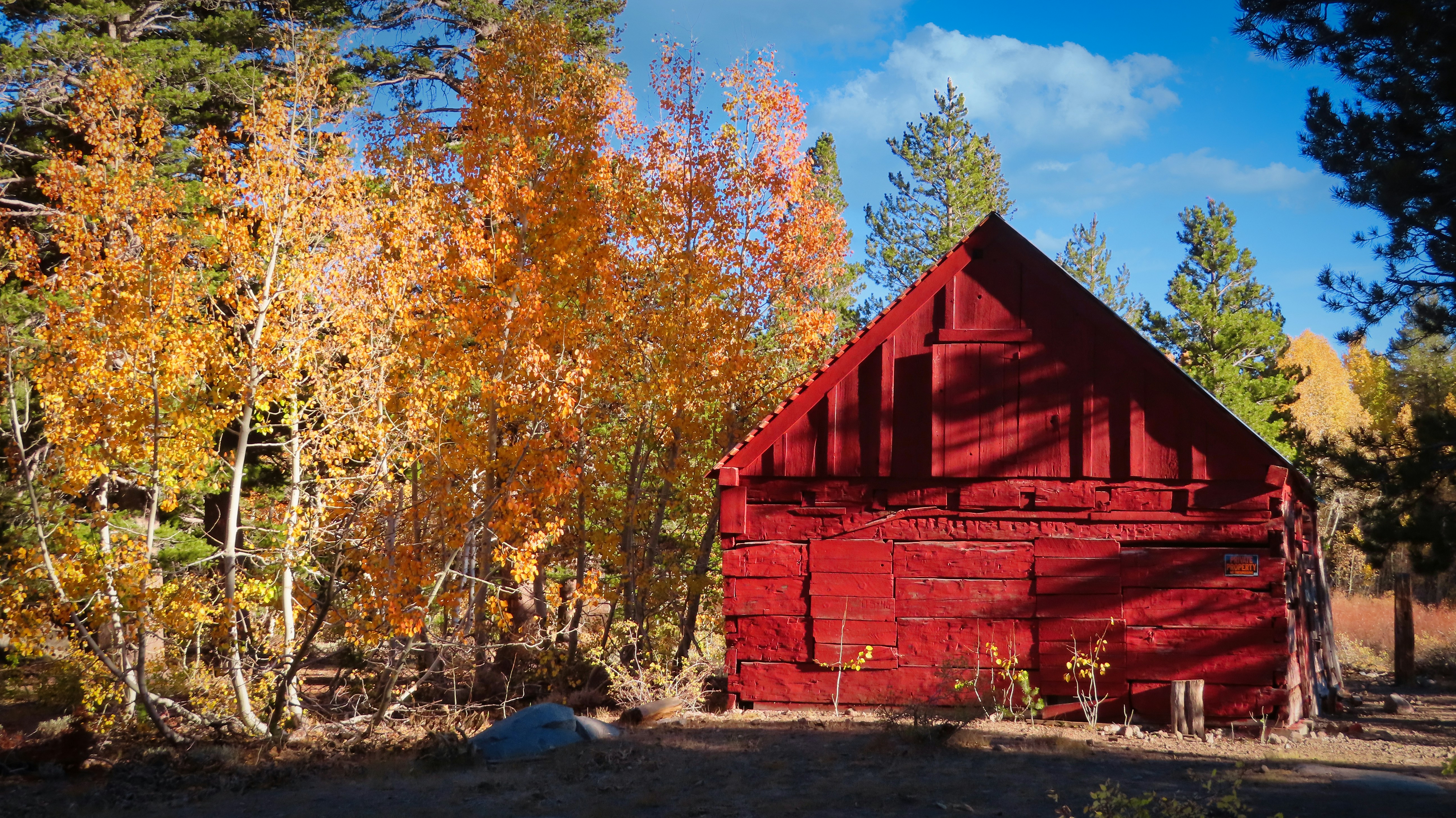 Vibrant red barn flanked by golden autumn trees under a bright blue sky.