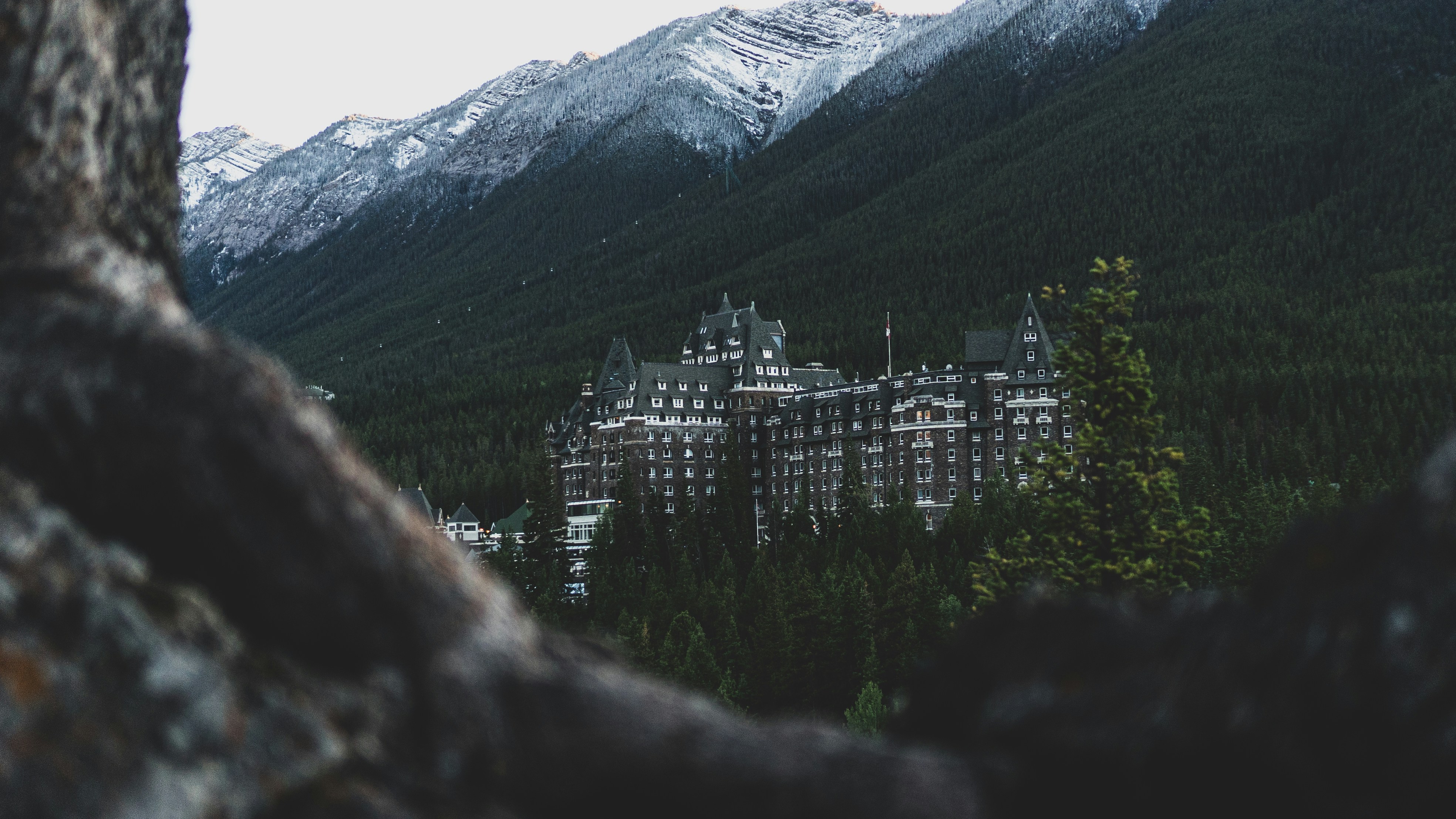Alpine Castle Emerges Through Dark Pines and Snow-Kissed Peaks