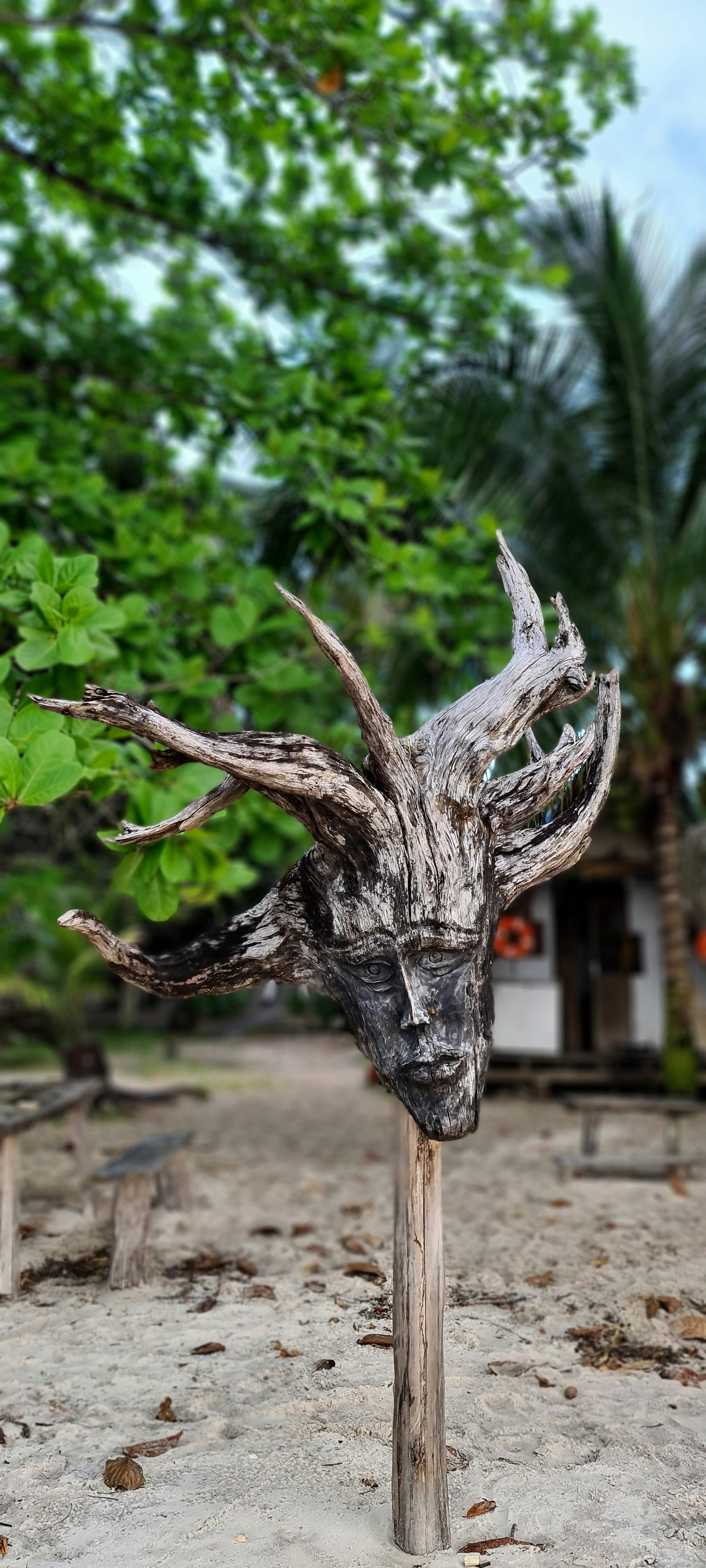 Art from Driftwood: Creating Sculptures Shaped by Sea and Time