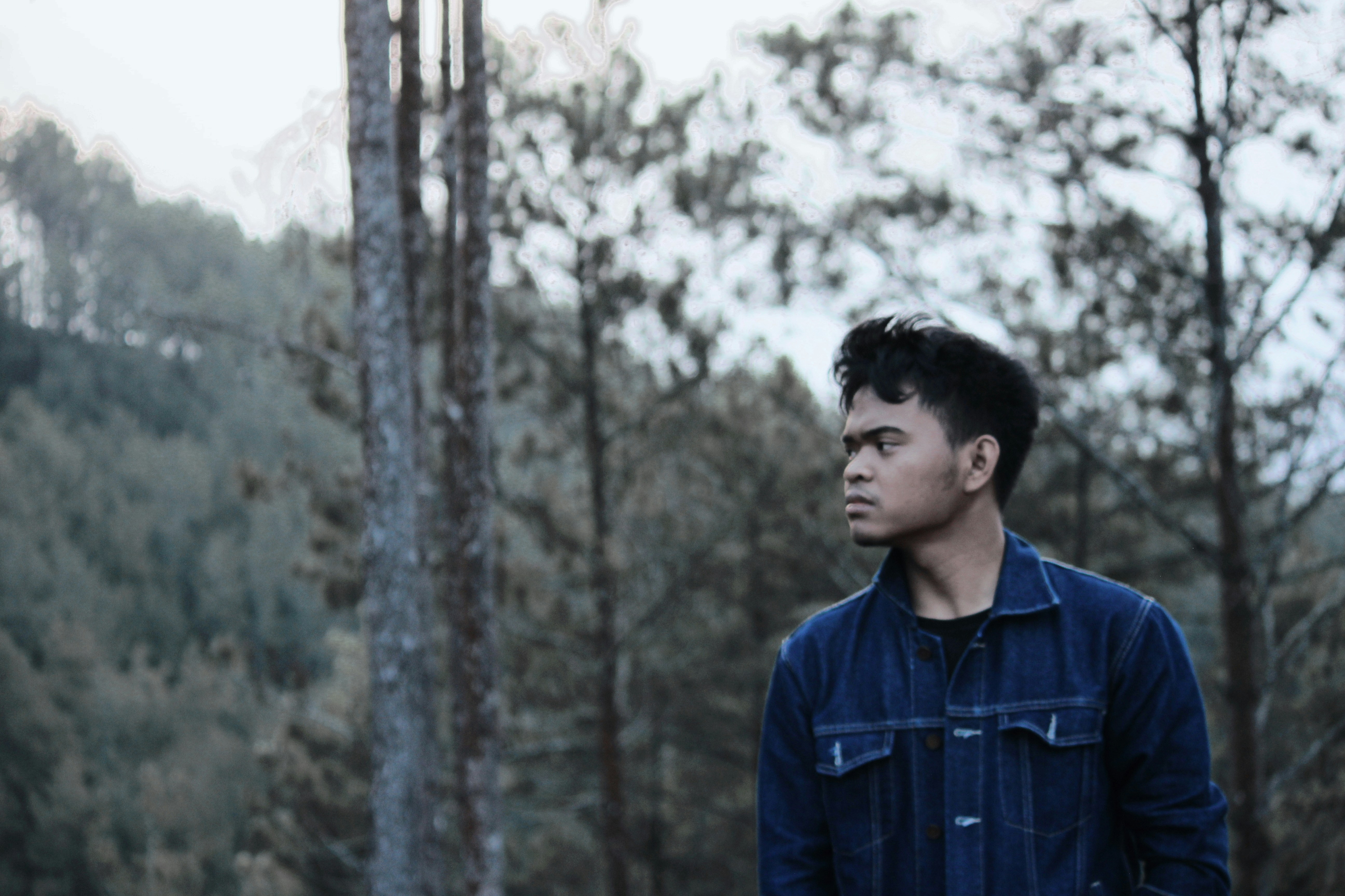 Person in denim jacket gazing sideways in a misty forest.