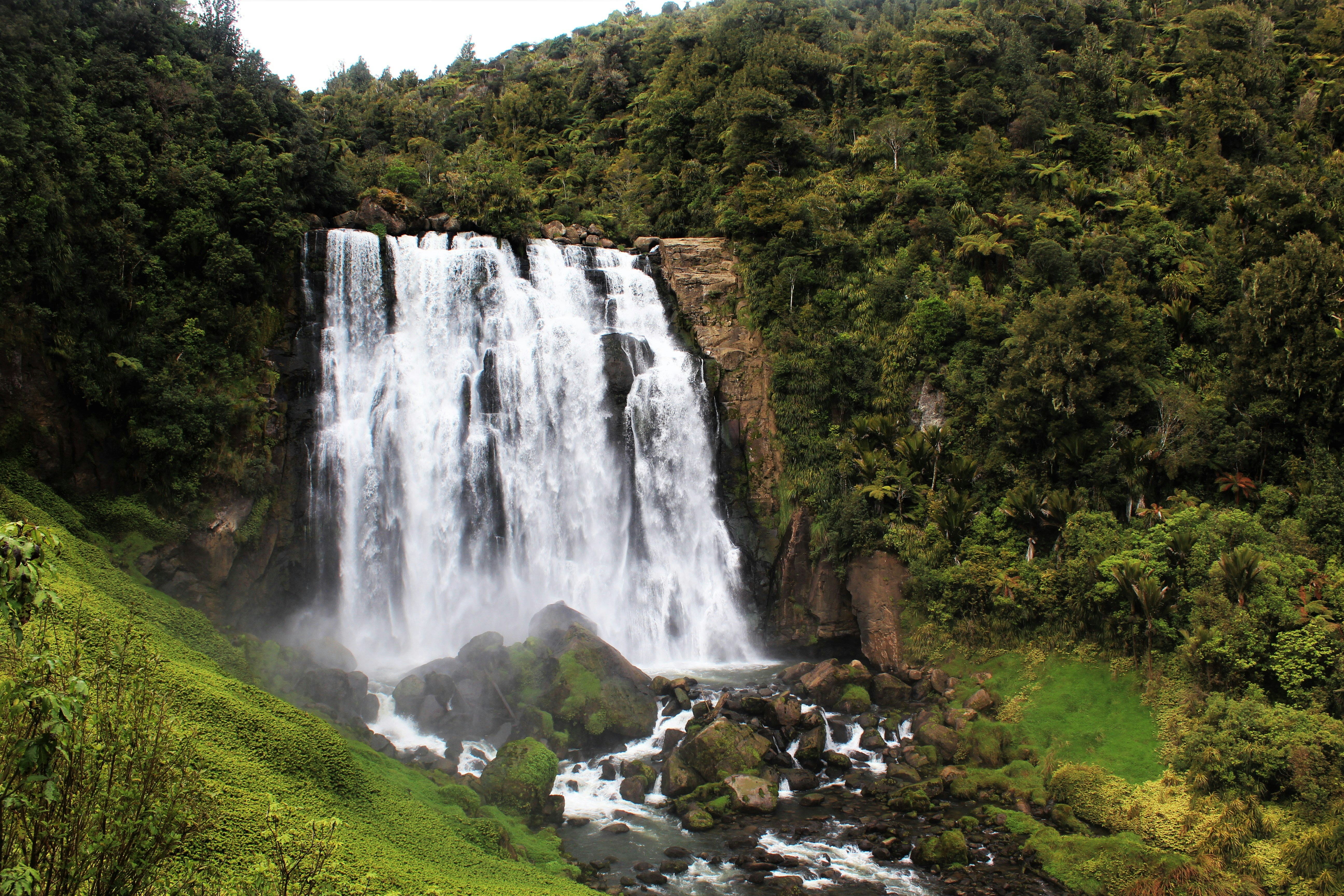 Dallas Jensen (@dallasjensen) | Unsplashフォトコミュニティ