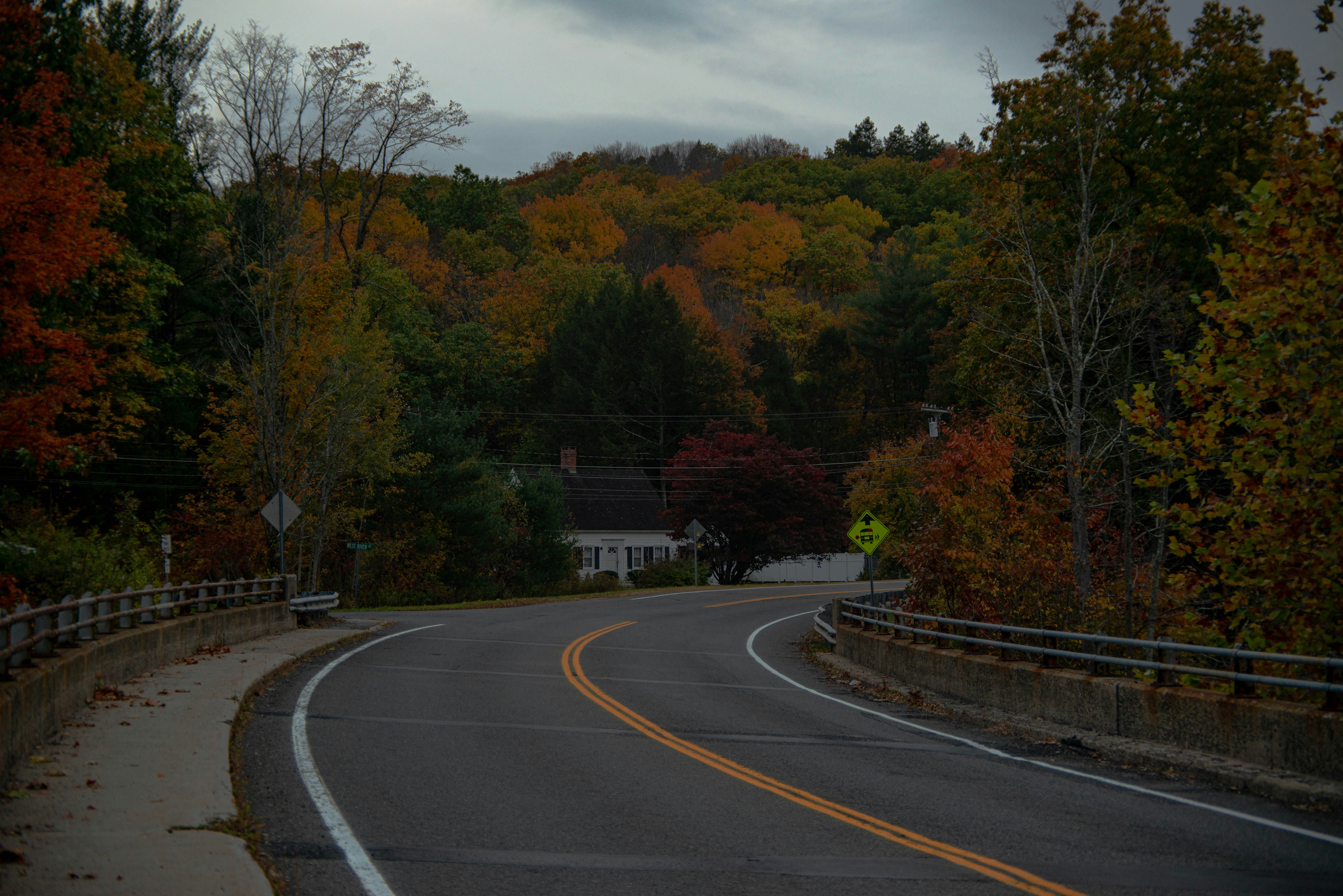Autumn's Embrace on the Winding Road