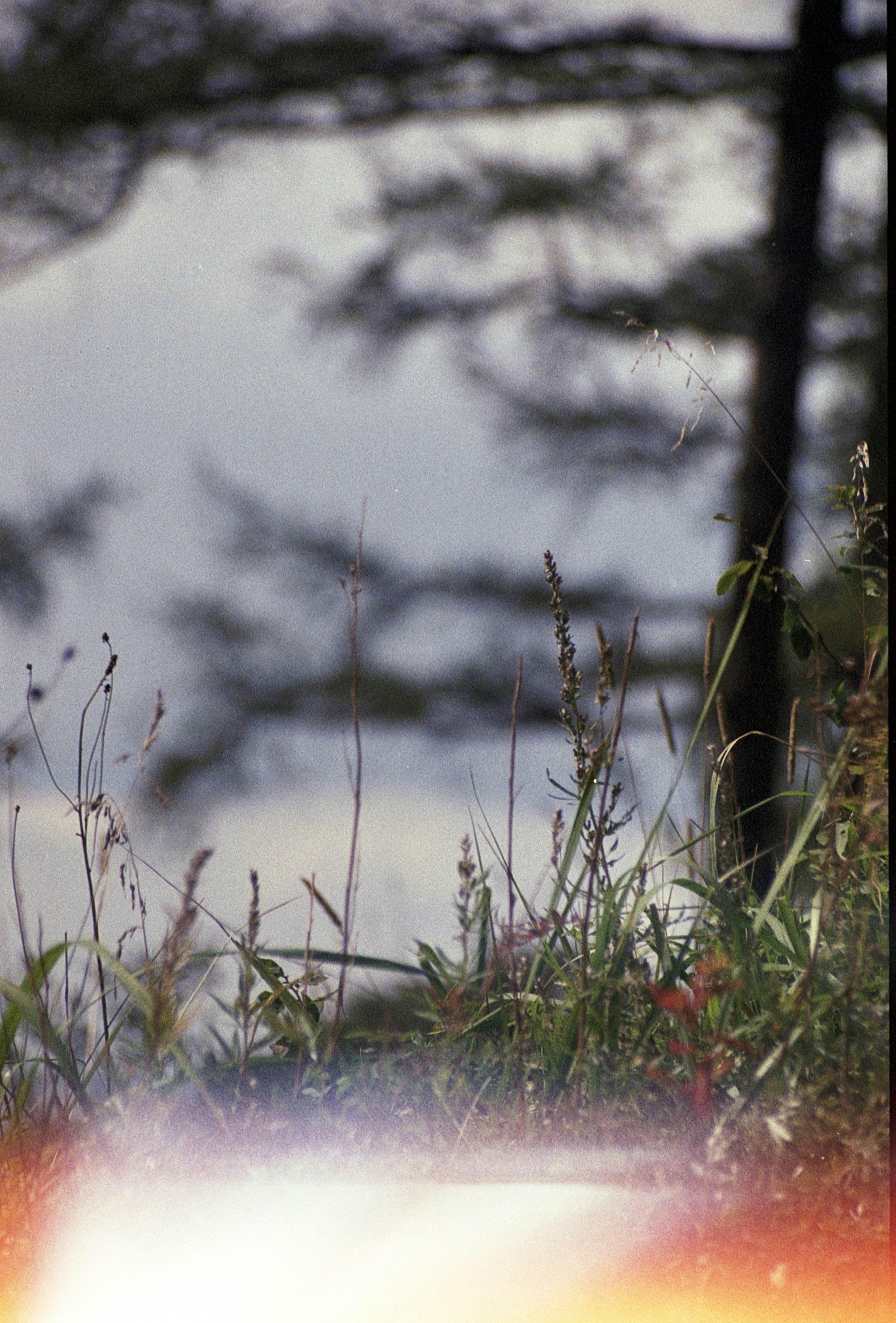 Sample photo from Epson Perfection V550